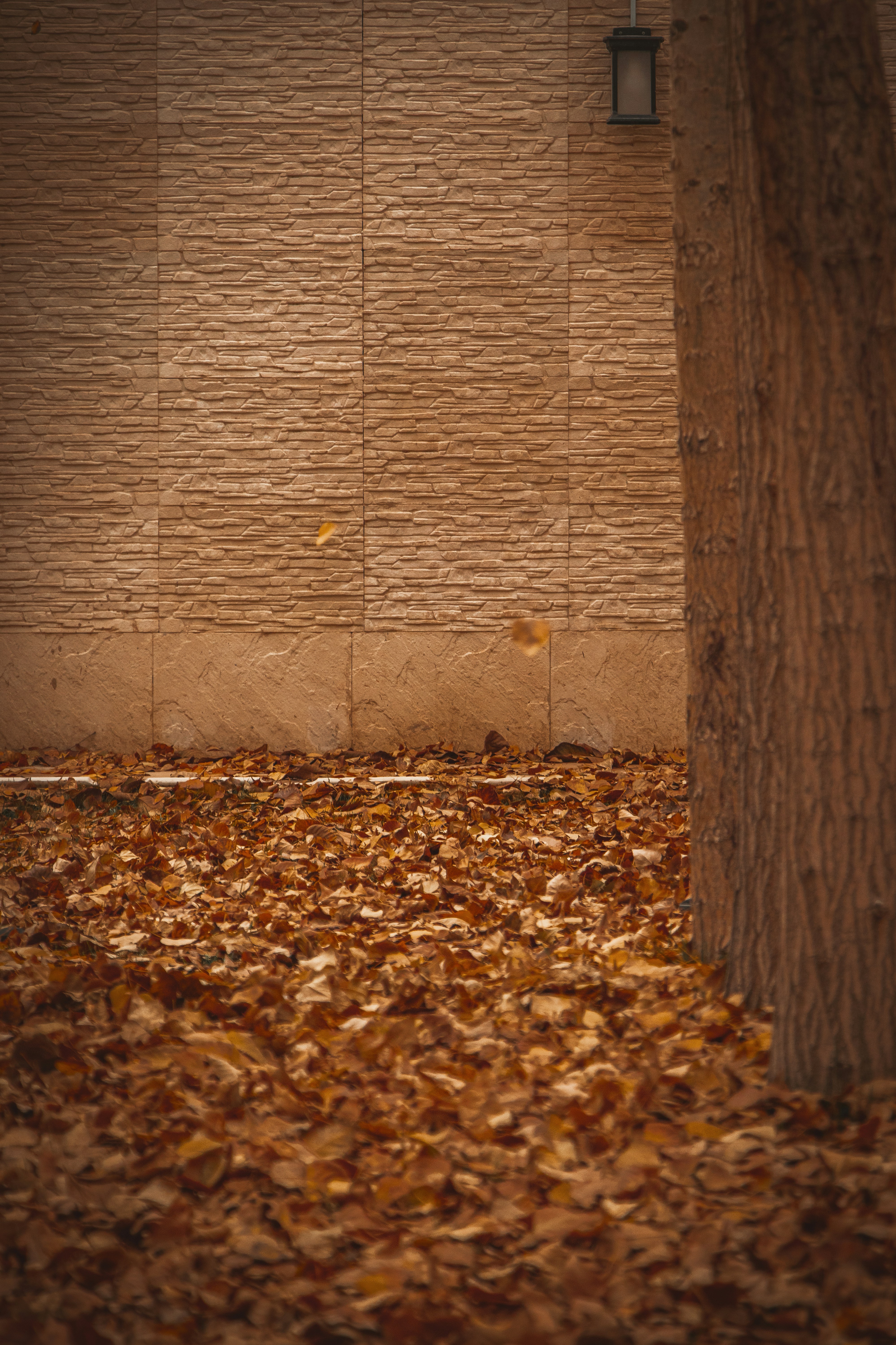 Autumn alley: fallen leaves at the base of a brick wall