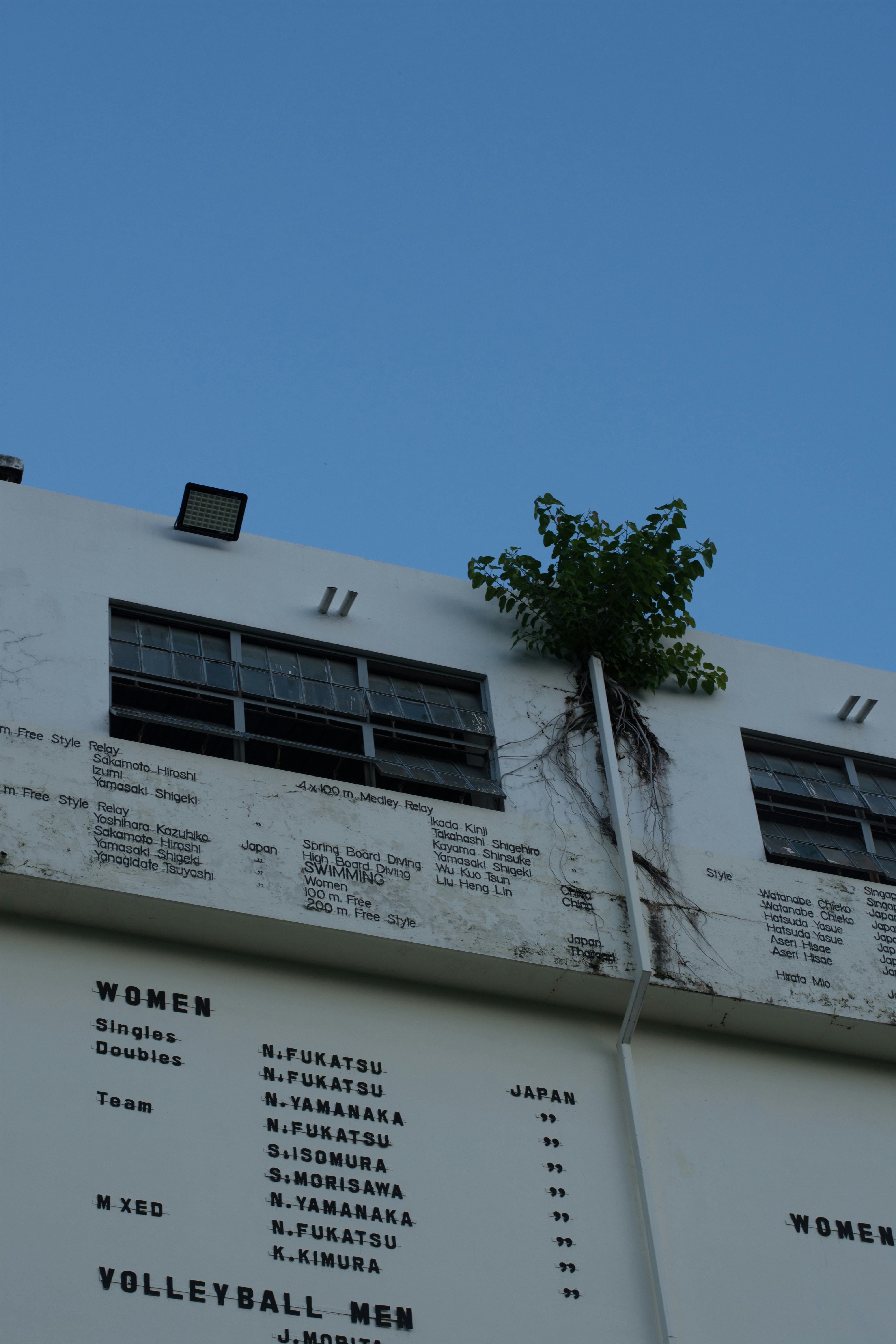 Urban Resilience: Nature Reclaims the Scoreboard