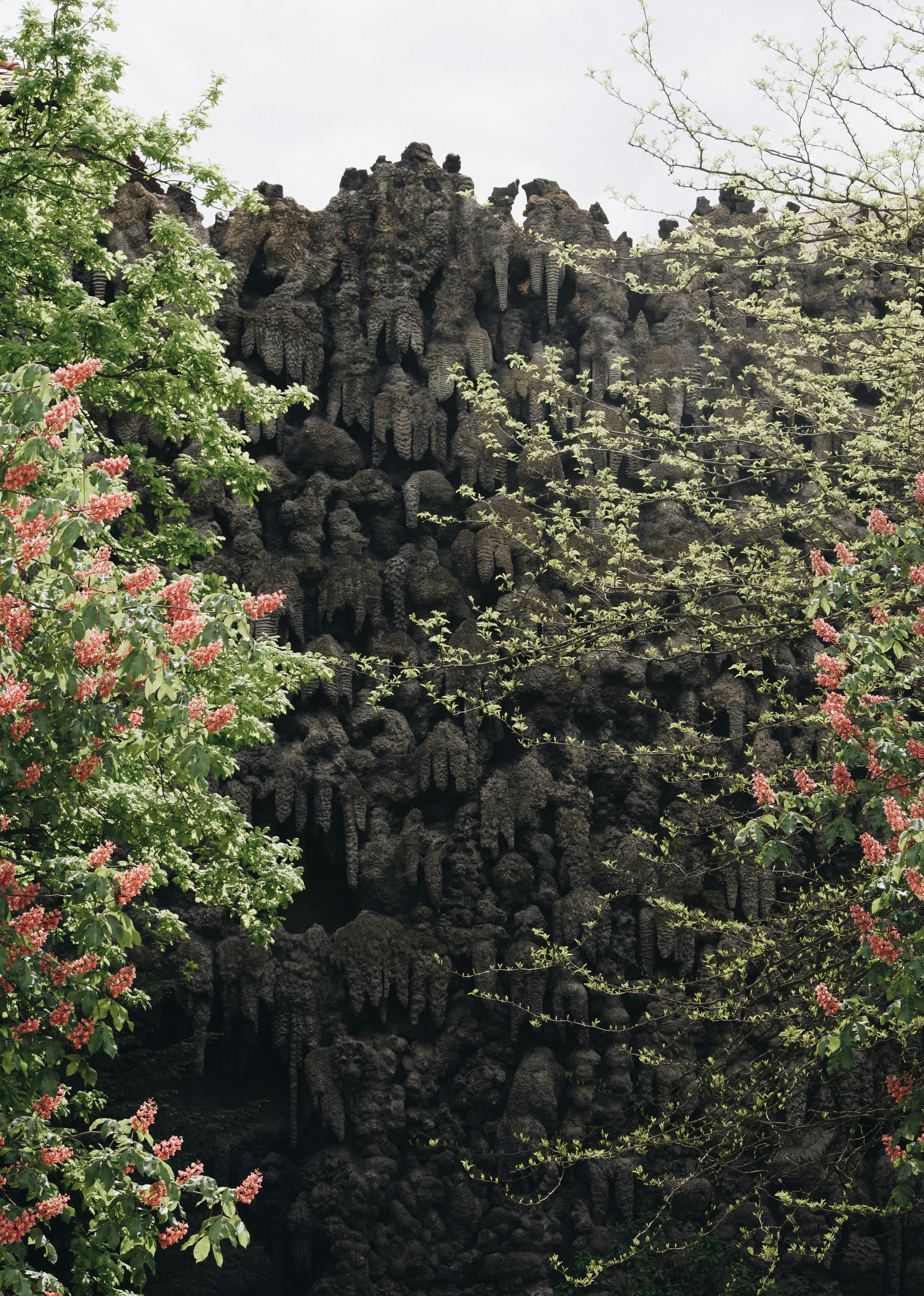 Basaltic Spires Framed by Spring Blossoms
