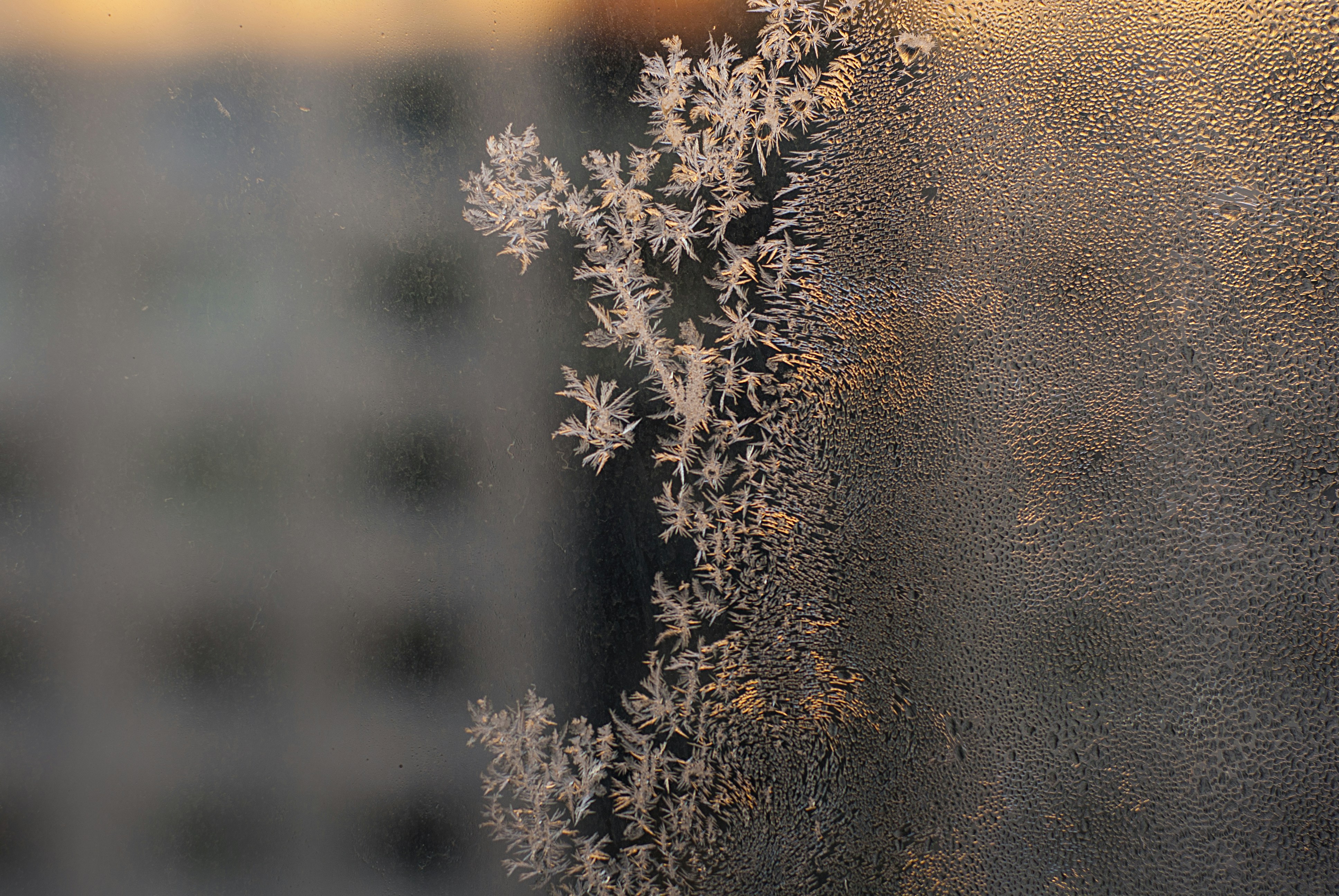 Frosty window