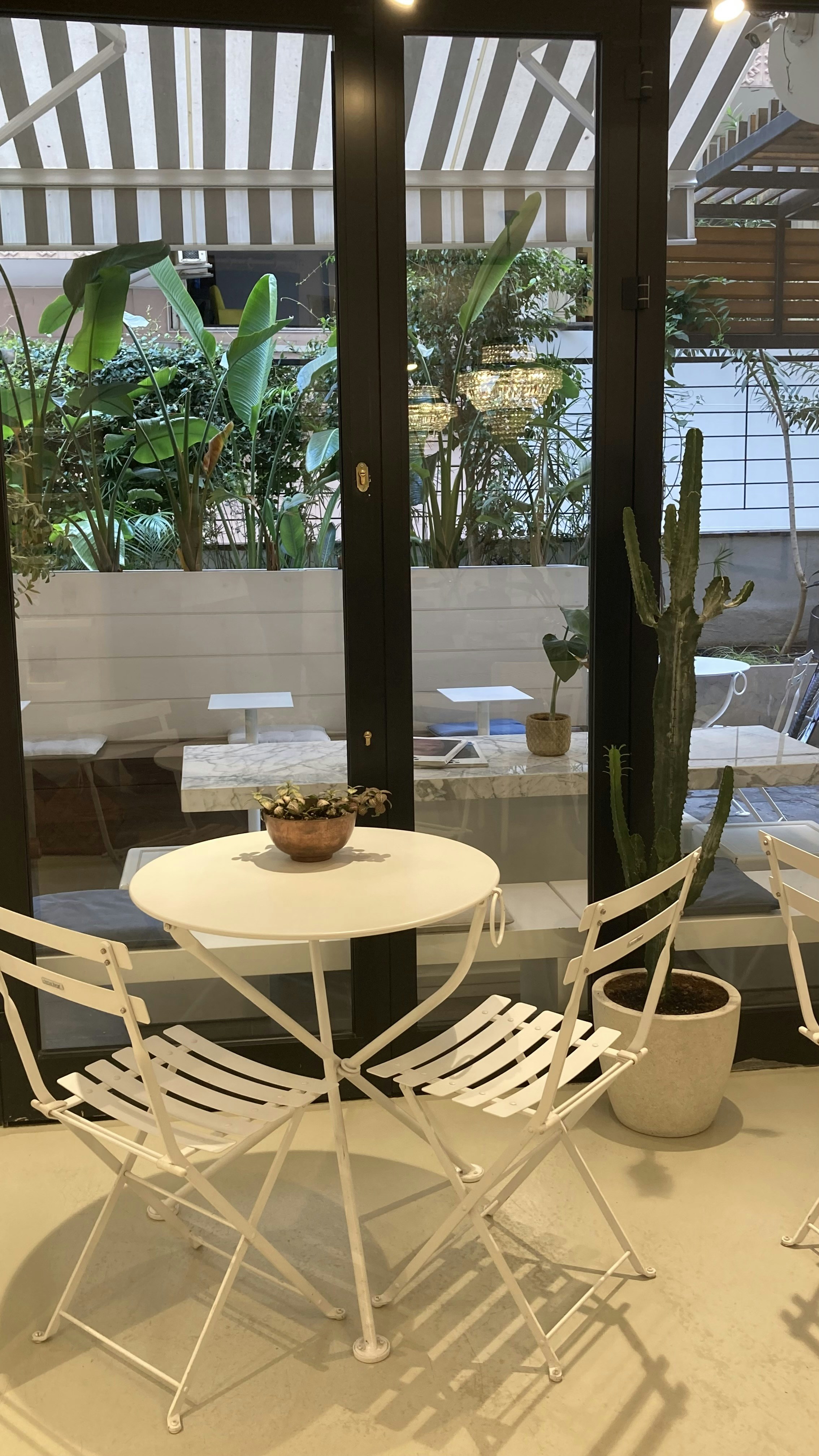 Cozy café interior featuring a small white table surrounded by folding chairs, with vibrant greenery visible through large windows.