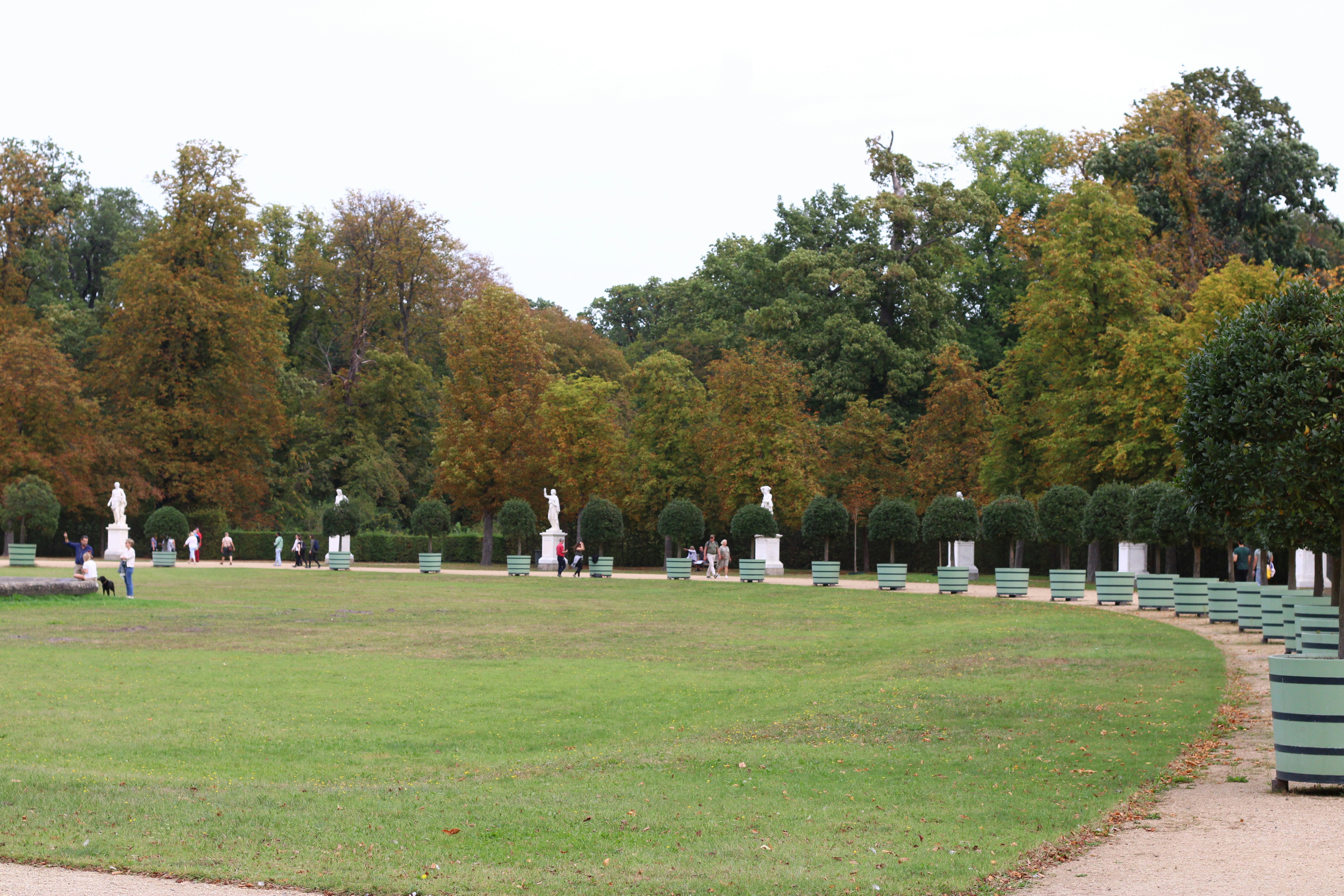 a grassy field with benches and trees in the background