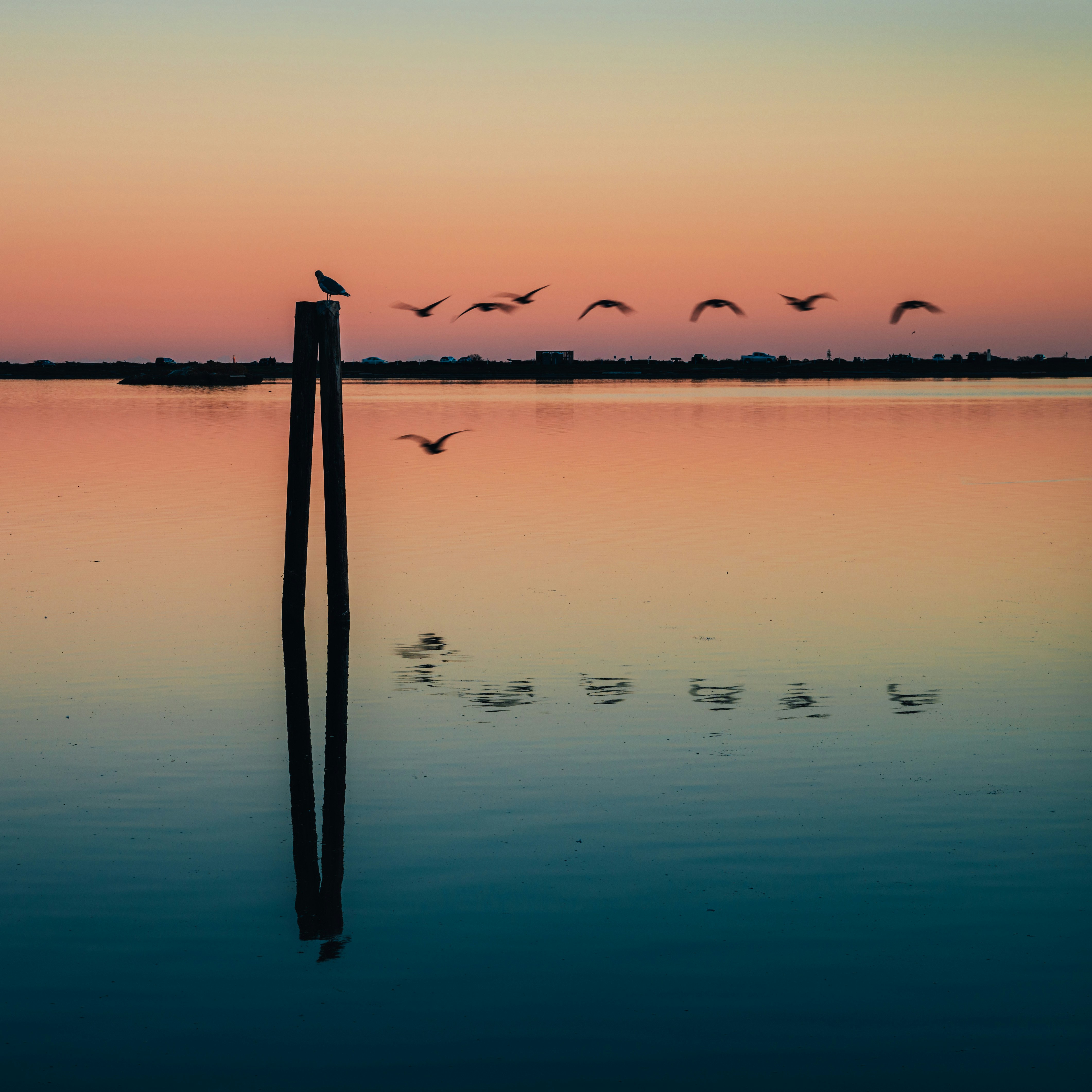 A solitary post stands in calm waters as birds gracefully take flight at sunset, creating a serene reflection. The color palette transitions from soft pastels to deeper hues.