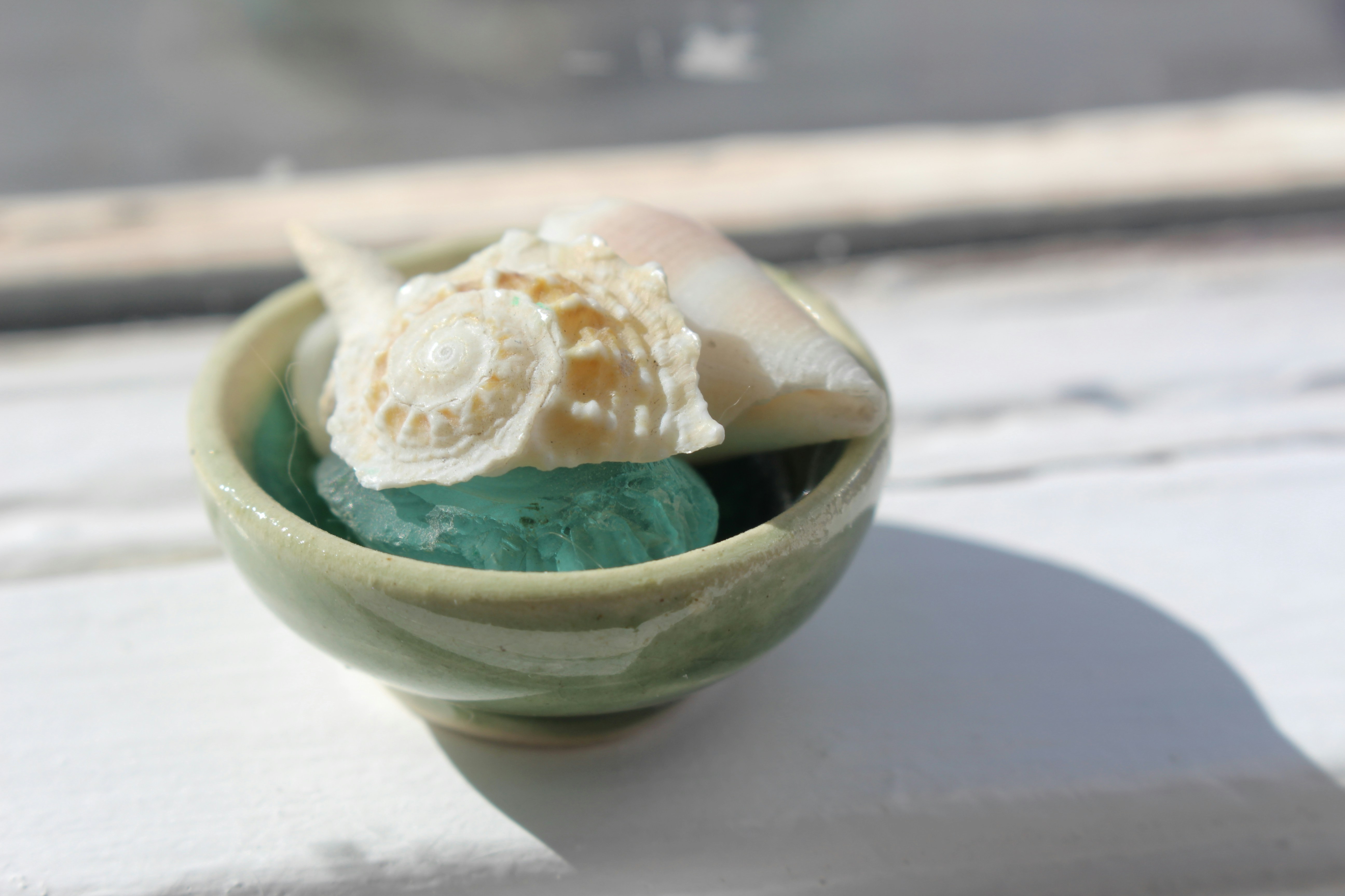 Sunlit Seashells Nest in a Pale Green Bowl