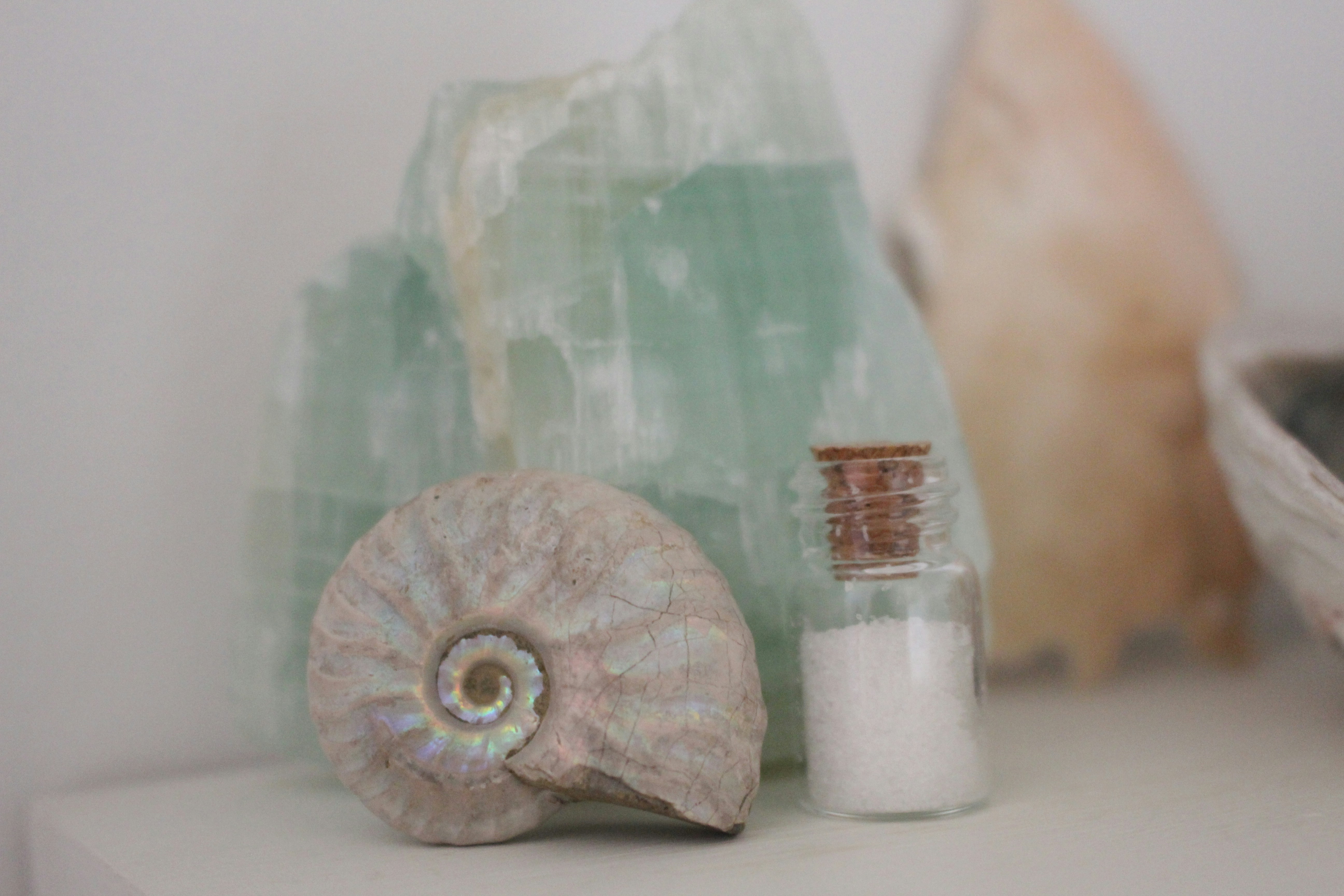 A polished ammonite shell beside a small glass vial of salt, set against a backdrop of translucent green crystal. The arrangement highlights natural beauty and intricate details.