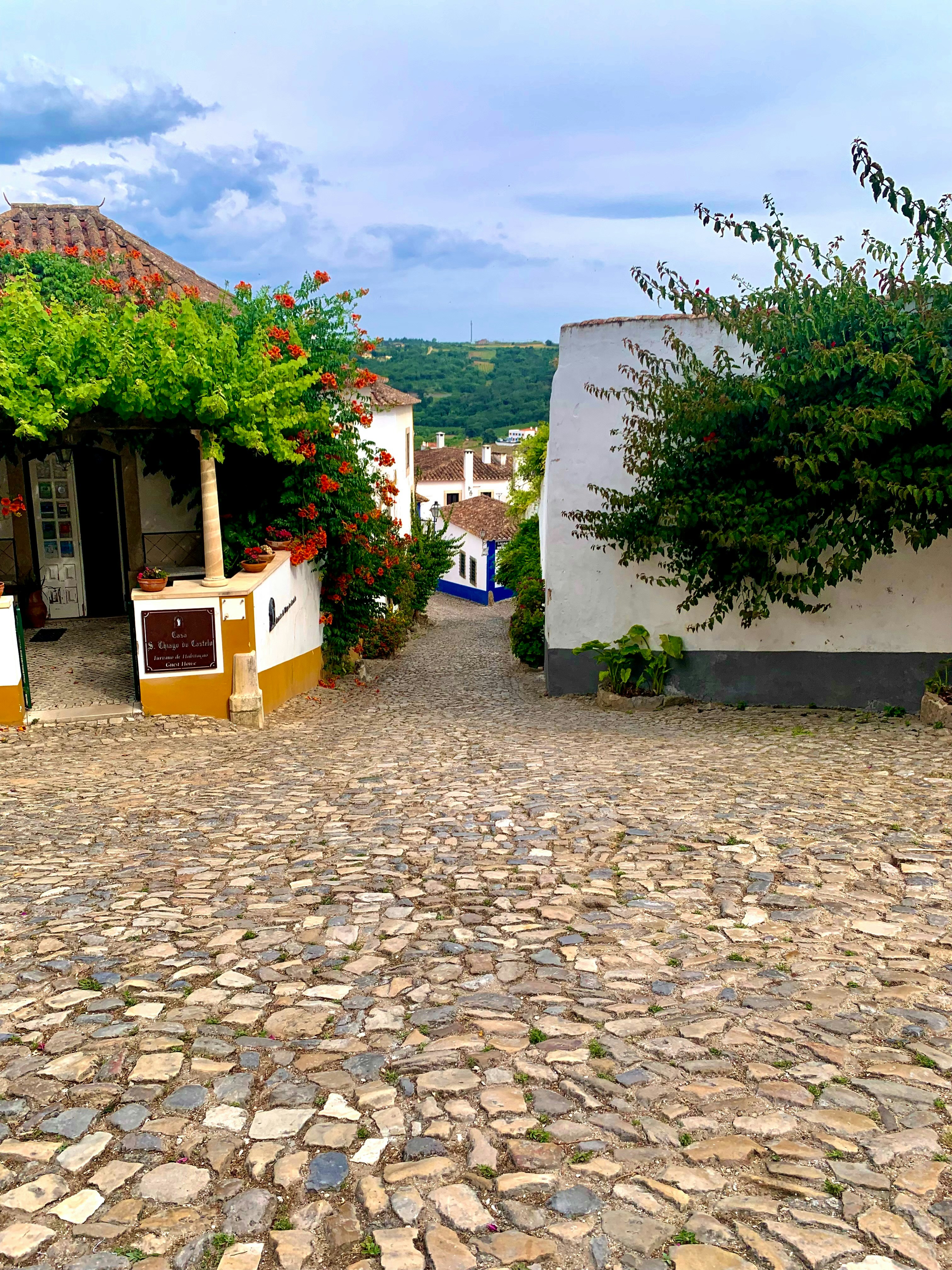 Cobbled Lane to a Quiet Blue Door