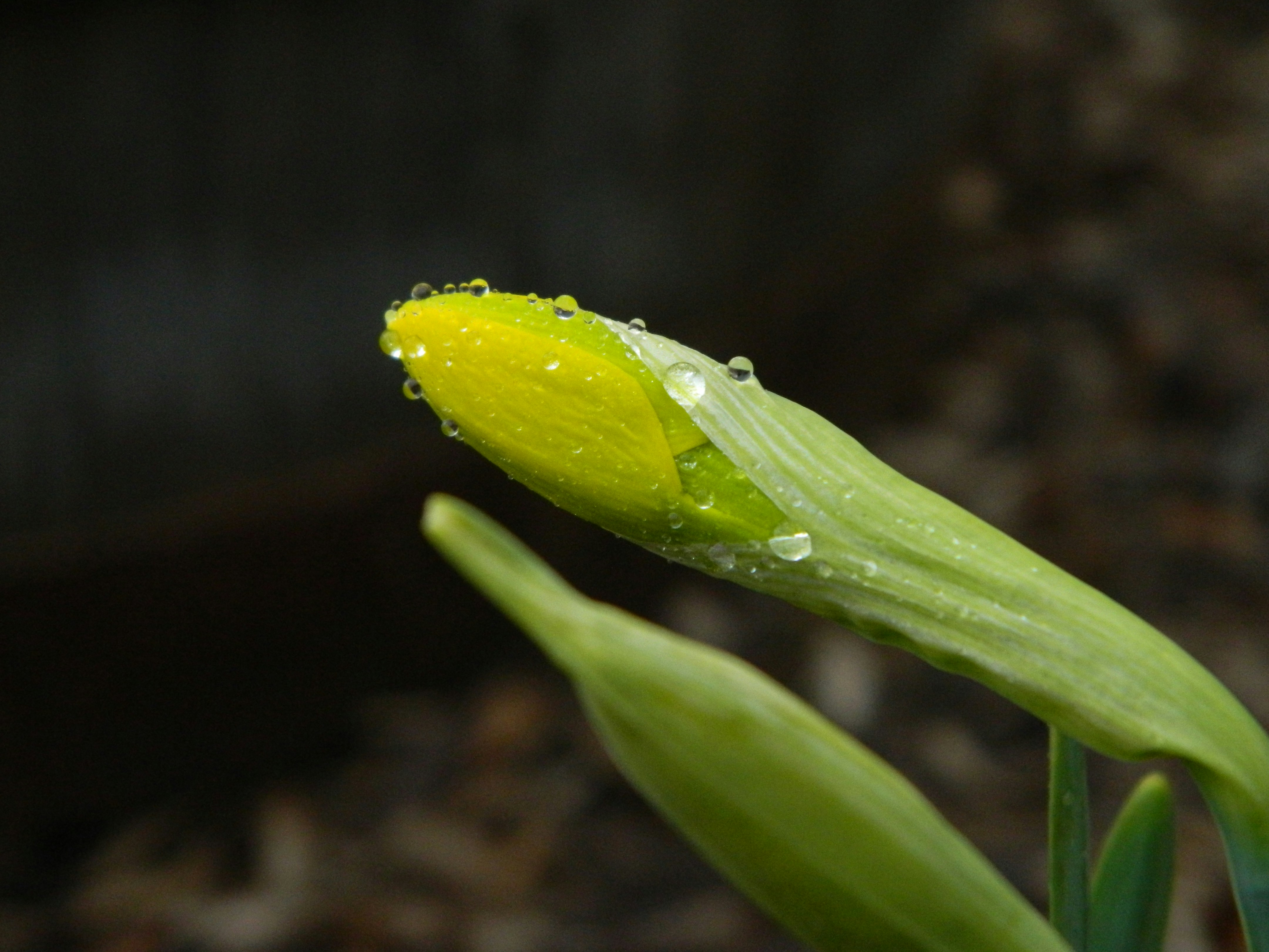 Shut Up Pictures | Download Free Images on Unsplash