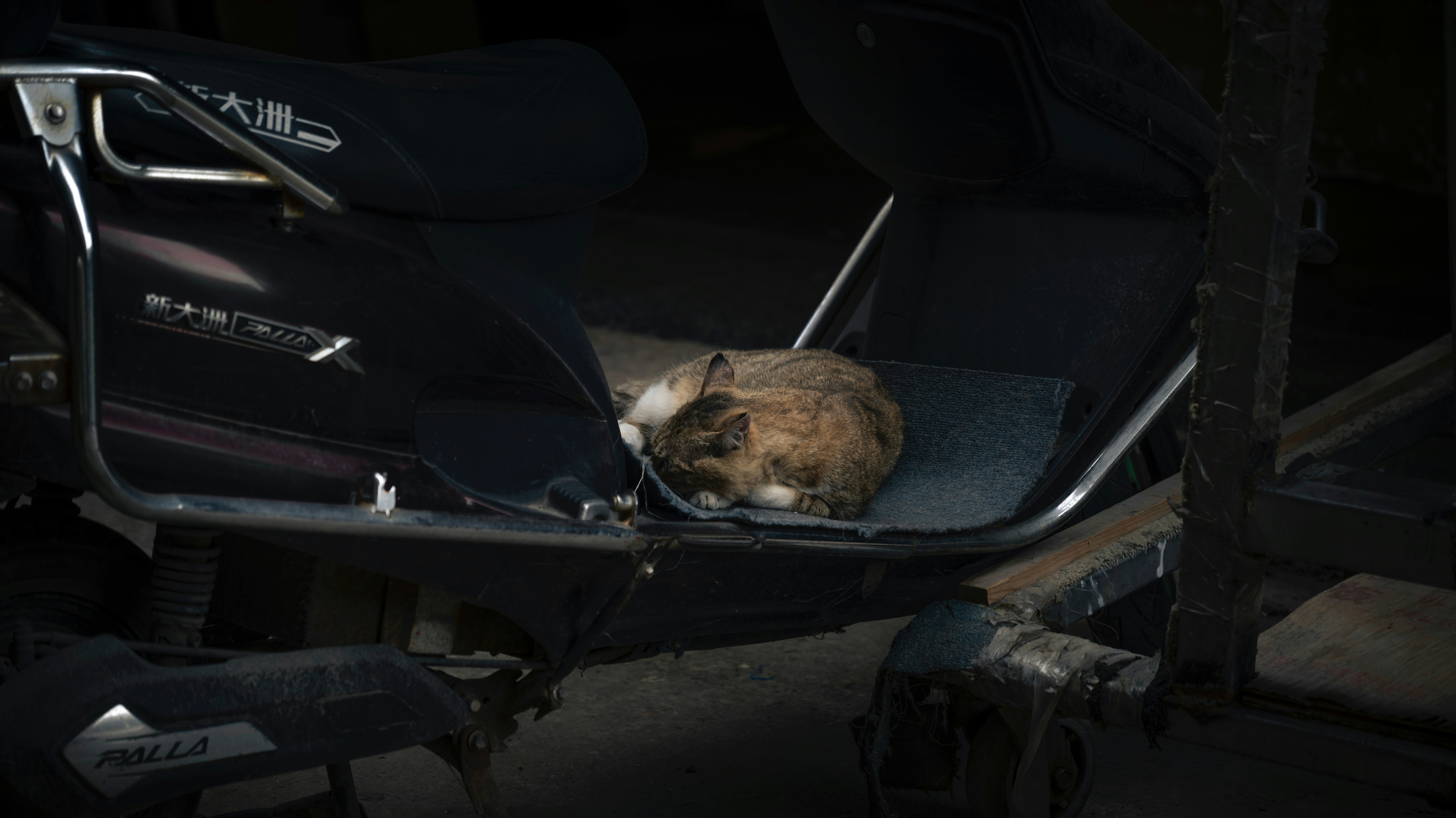 Midnight Nap on a Weathered Scooter