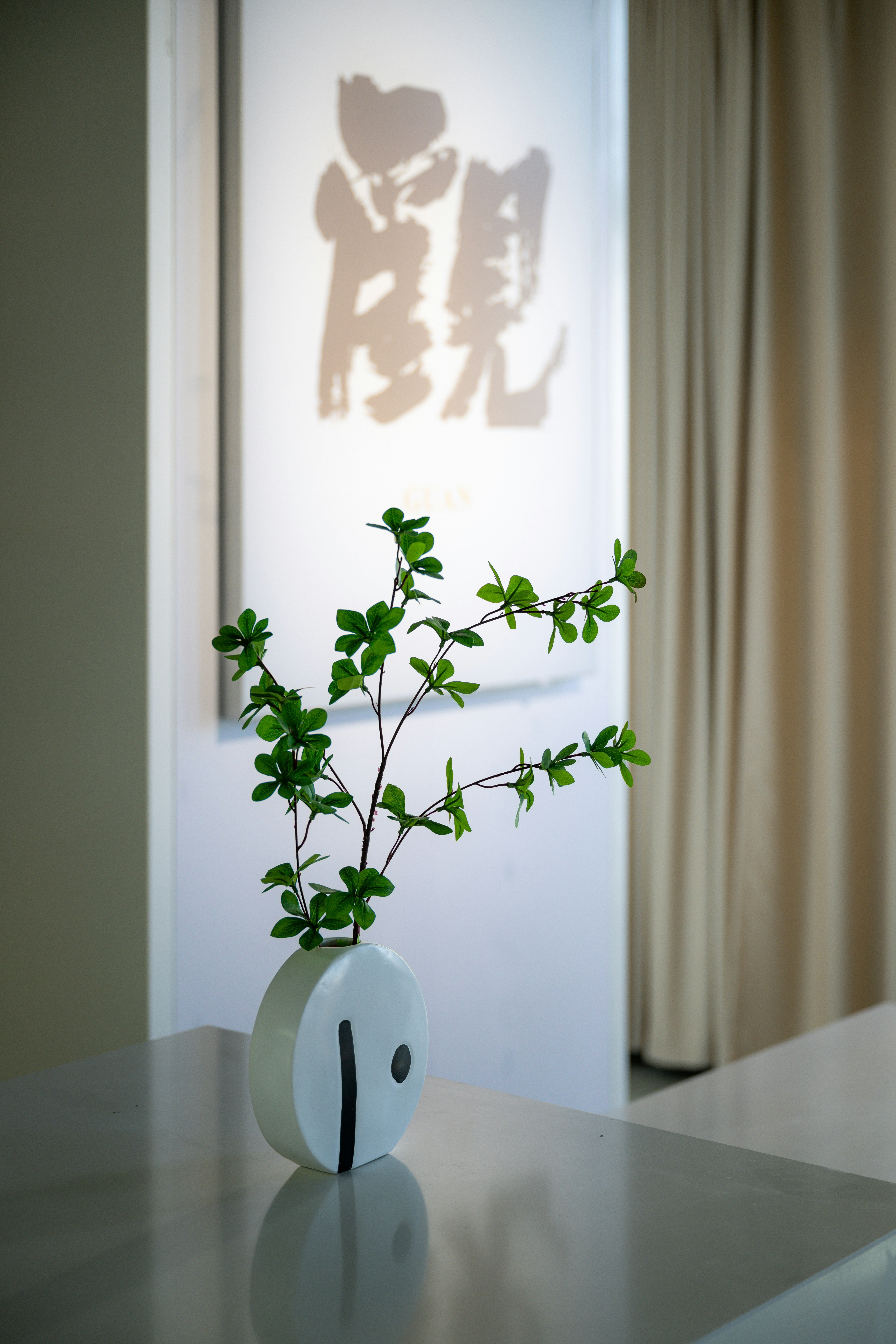 Minimalist vase with green sprigs under a softly lit backdrop