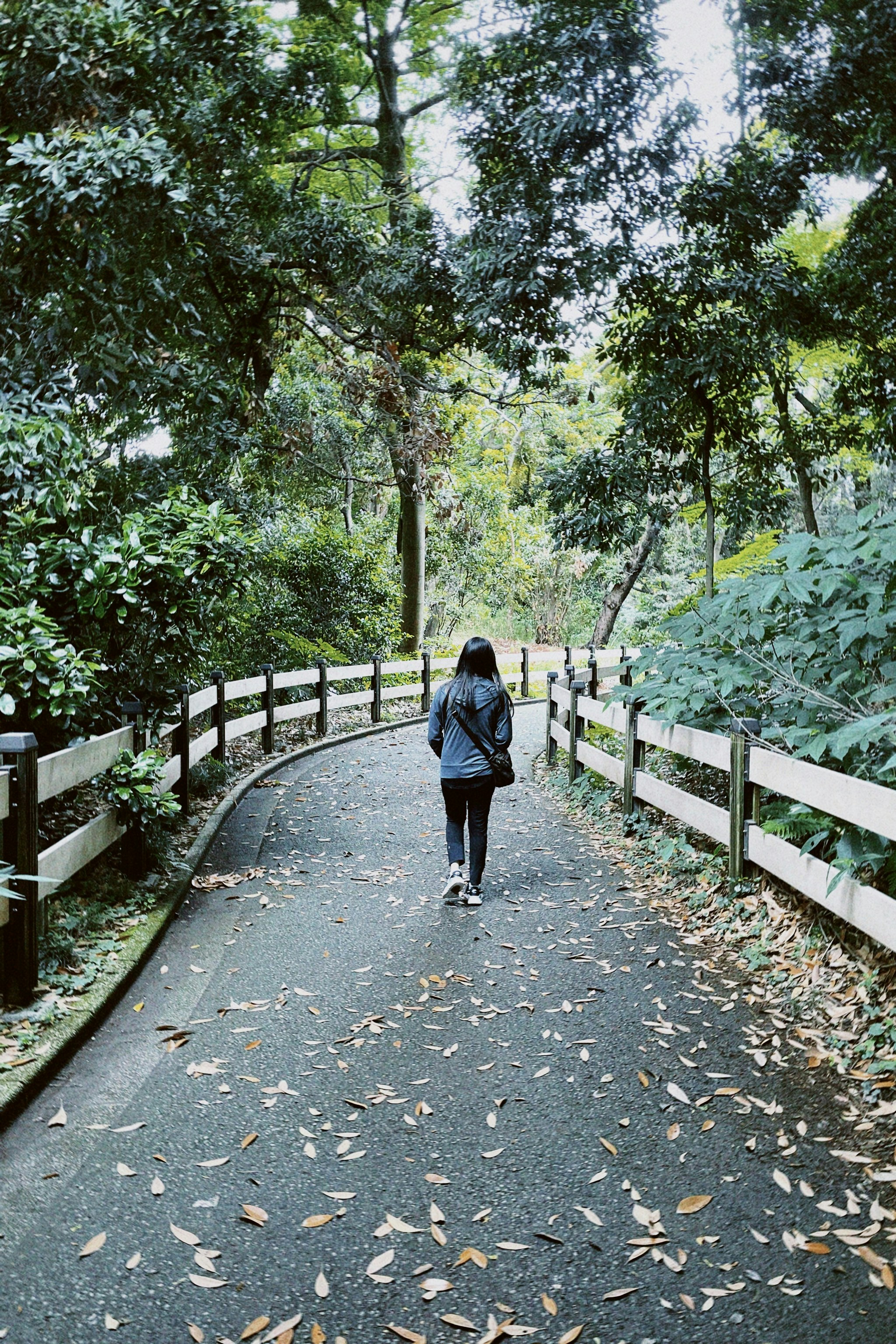 A person walking down a path in the woods photo – Free Path Image on ...