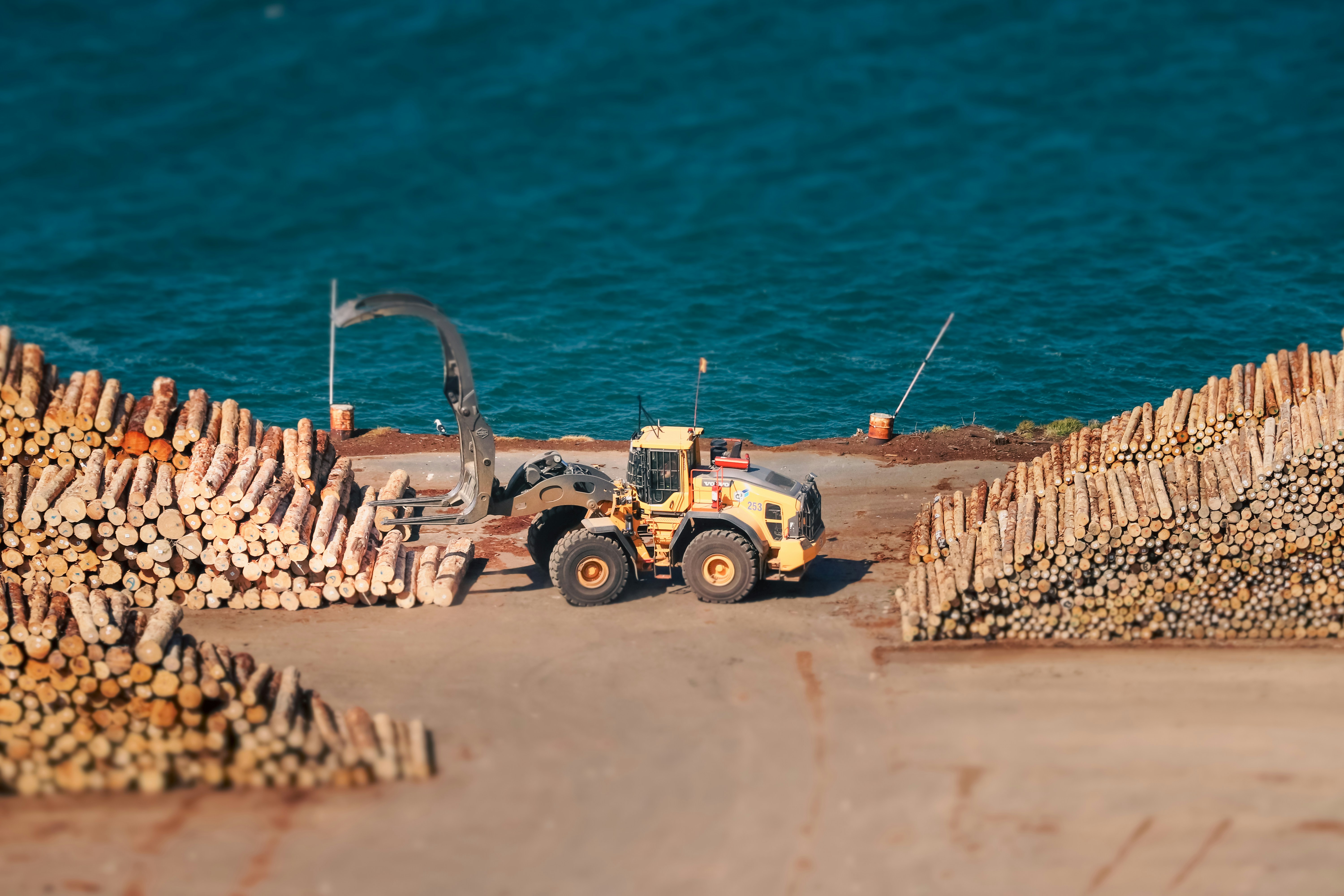 Stacks of Timber by the Sea: A Quiet Logging Yard at Dusk