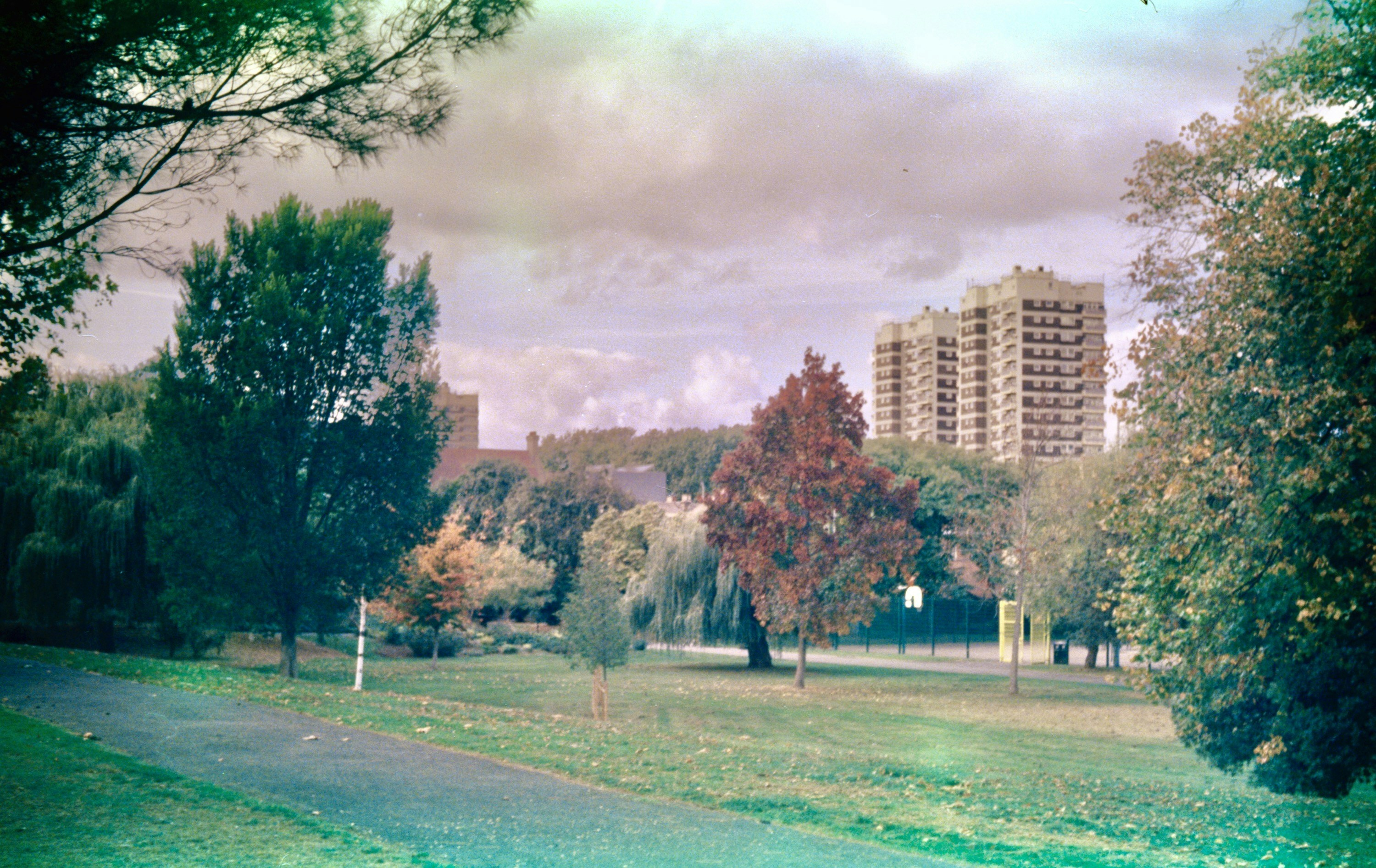 A view of a park with trees and buildings in the background photo ...
