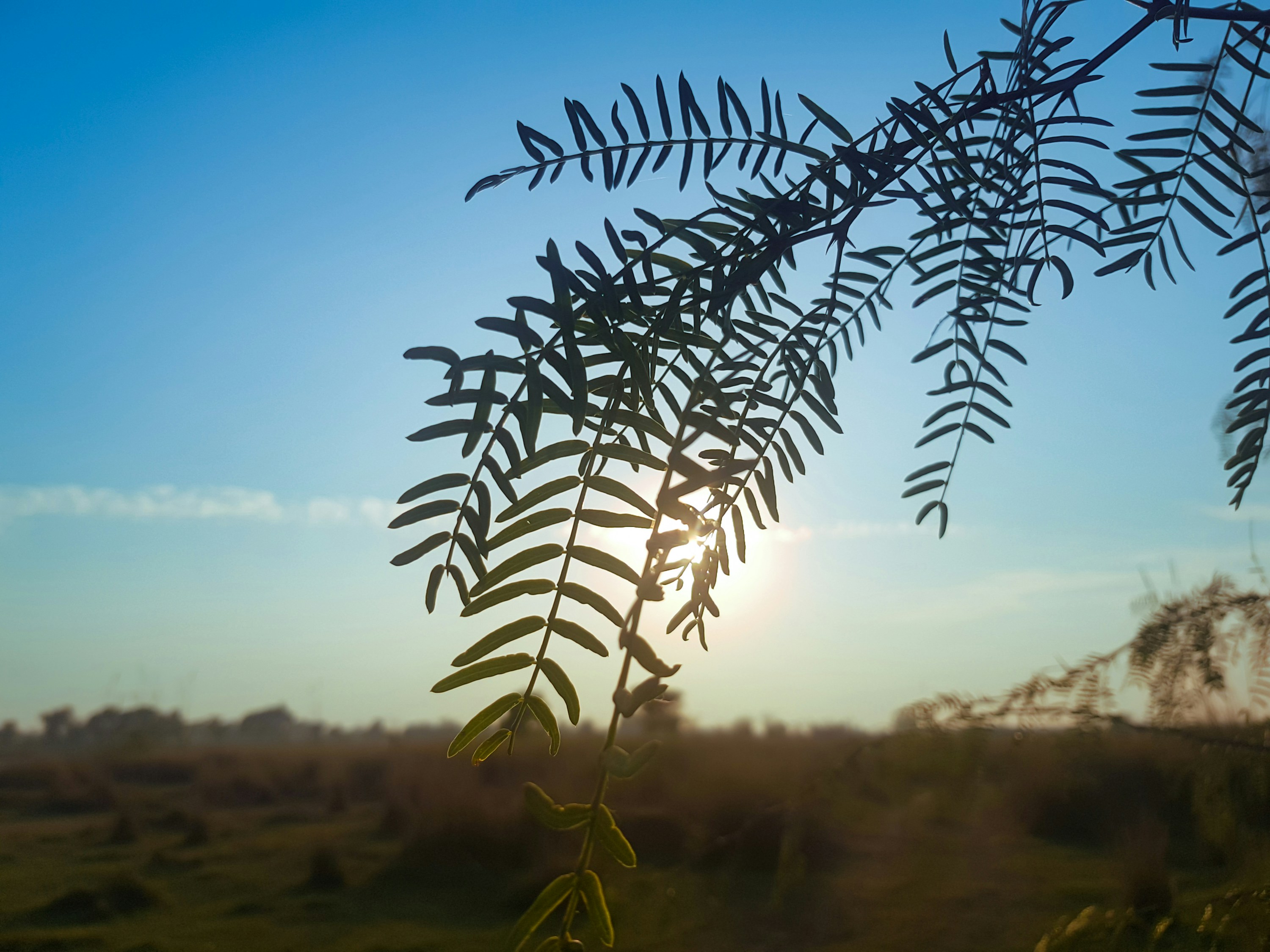 Photo by Mansab Ali with Samsung Galaxy S8