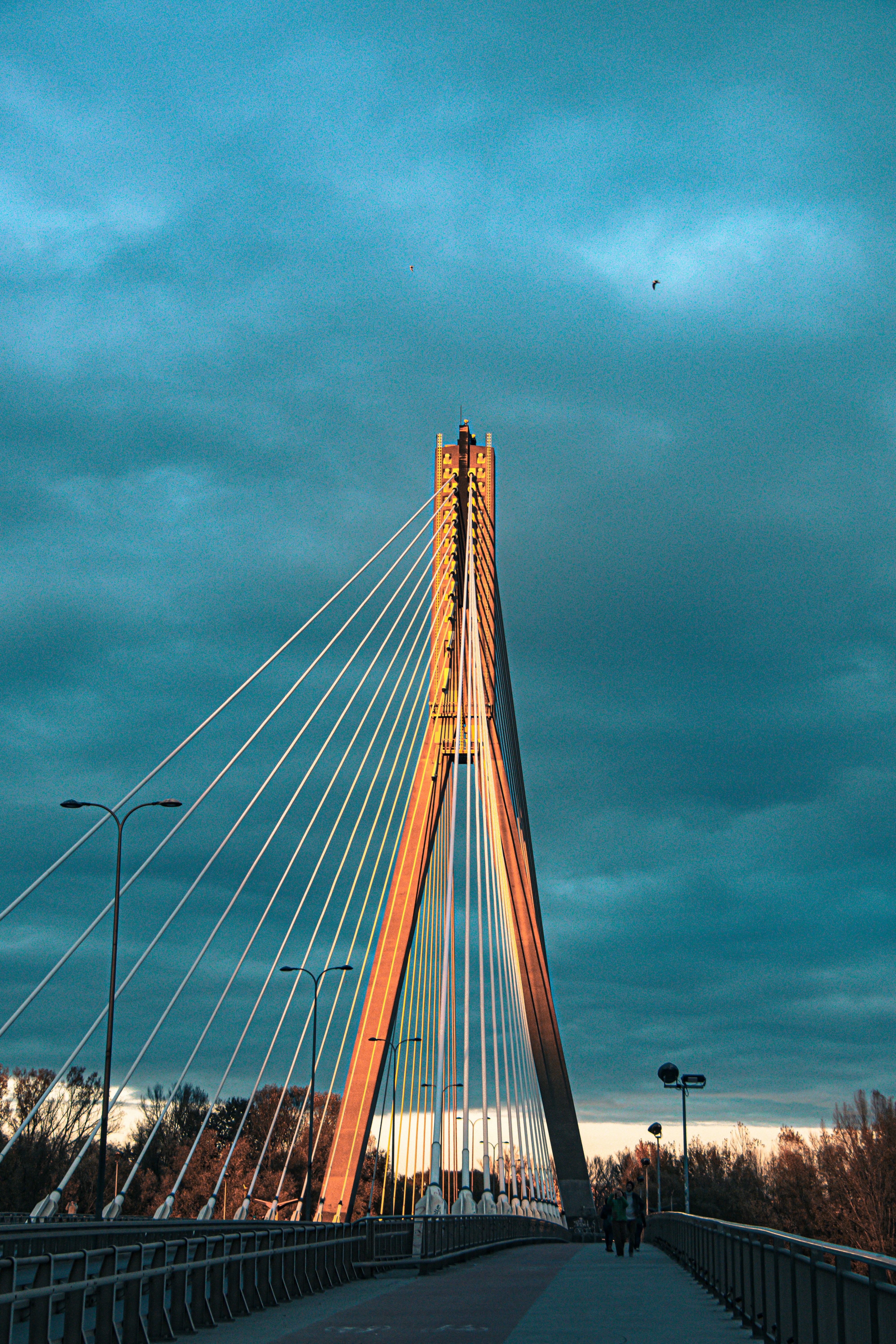 A very tall bridge with a very tall tower photo – Free Poland Image on ...