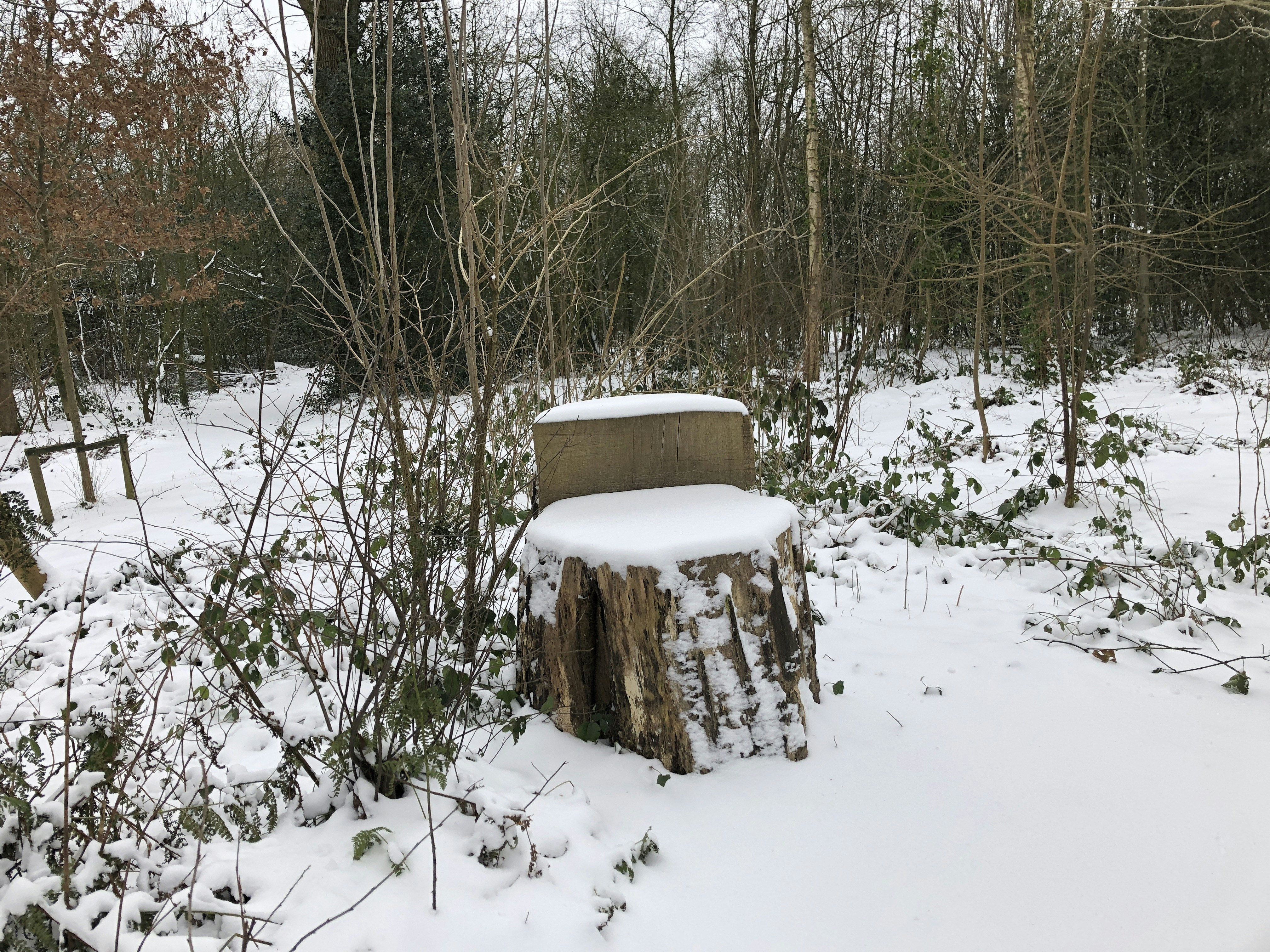 Brenda de Warm (@brendakayleex) | Komunitas Foto Unsplash