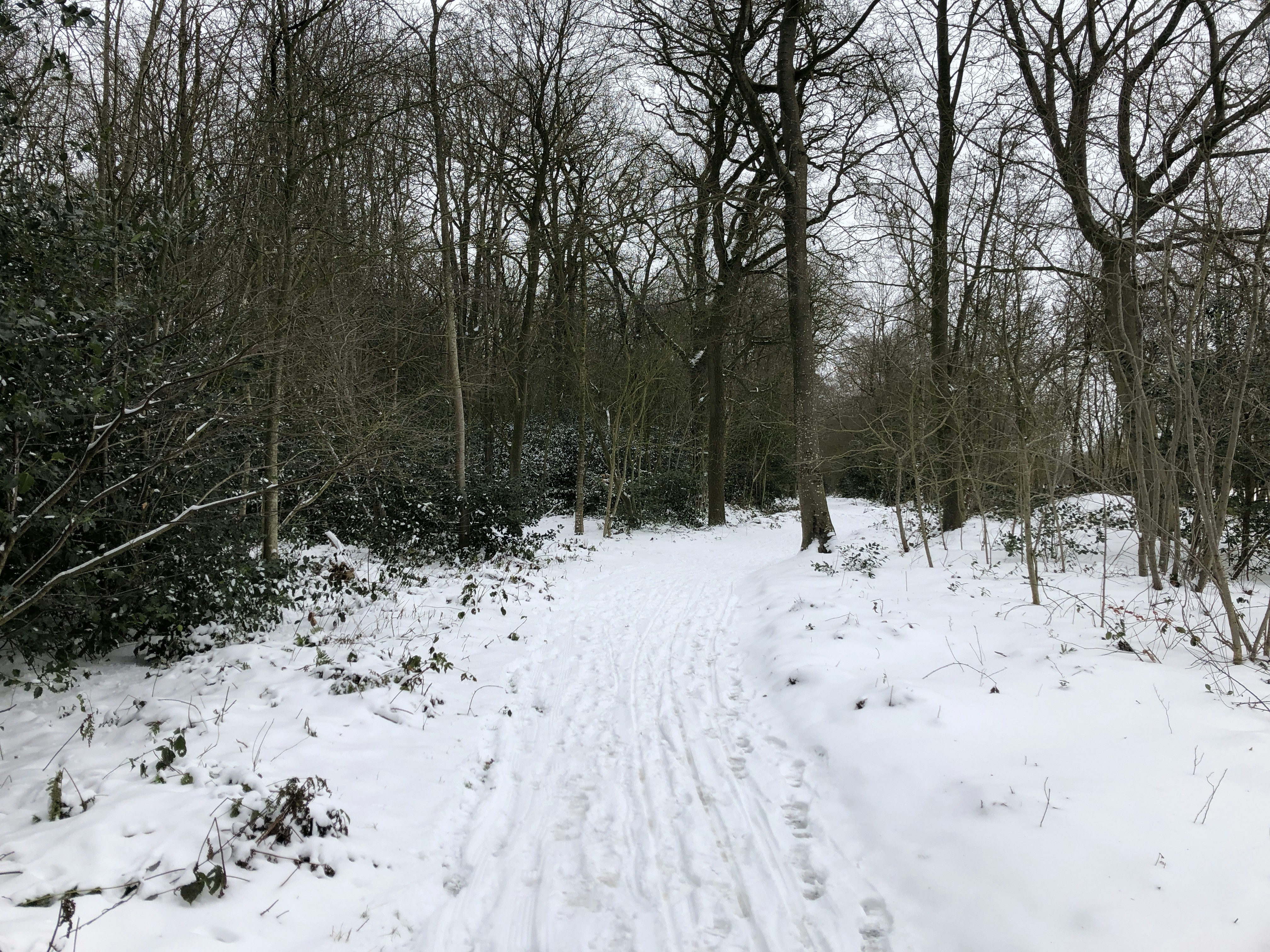 Photo by Brenda de Warm with Apple iPhone 8