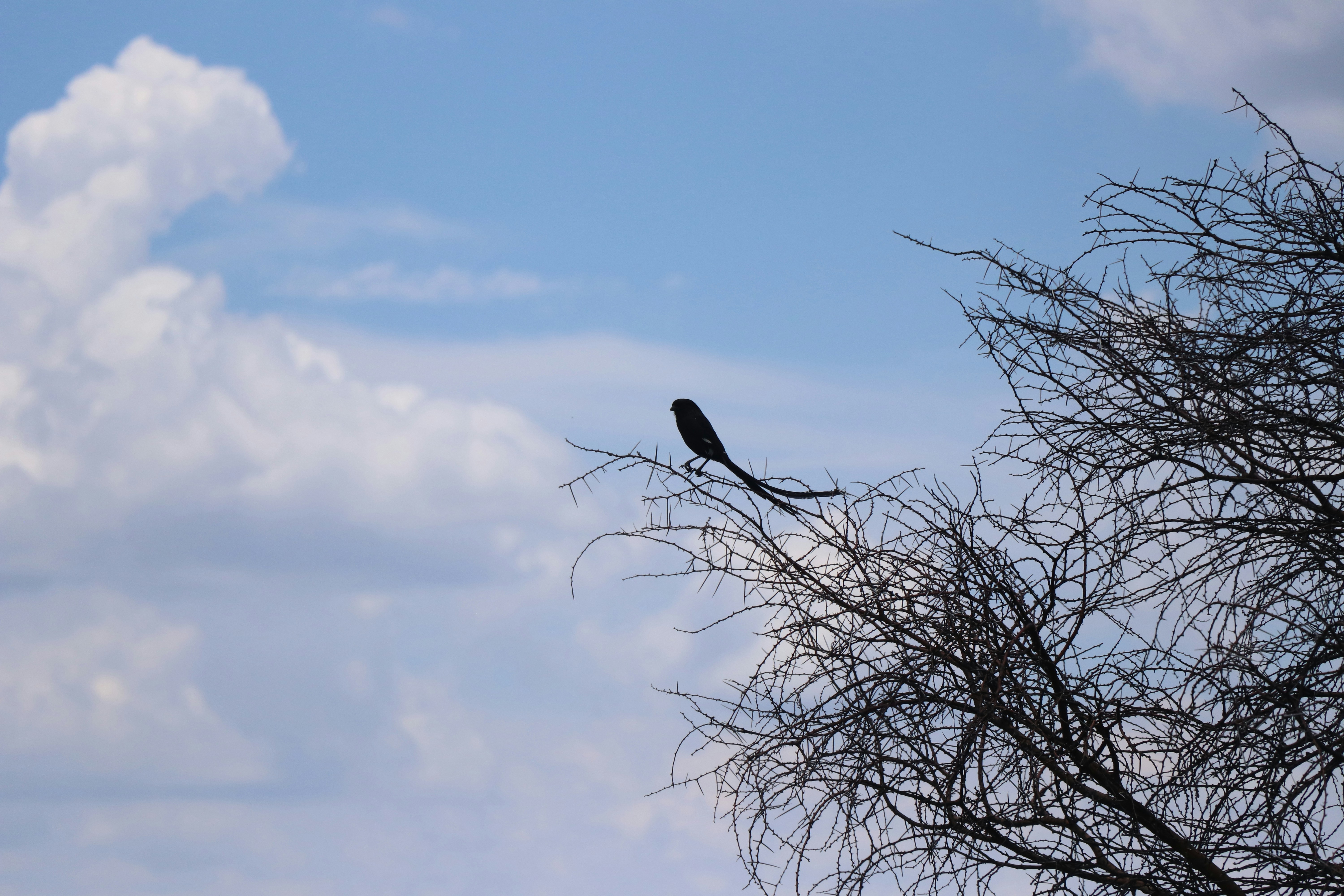 Photo by Tamara Victor with Canon EOS 77D