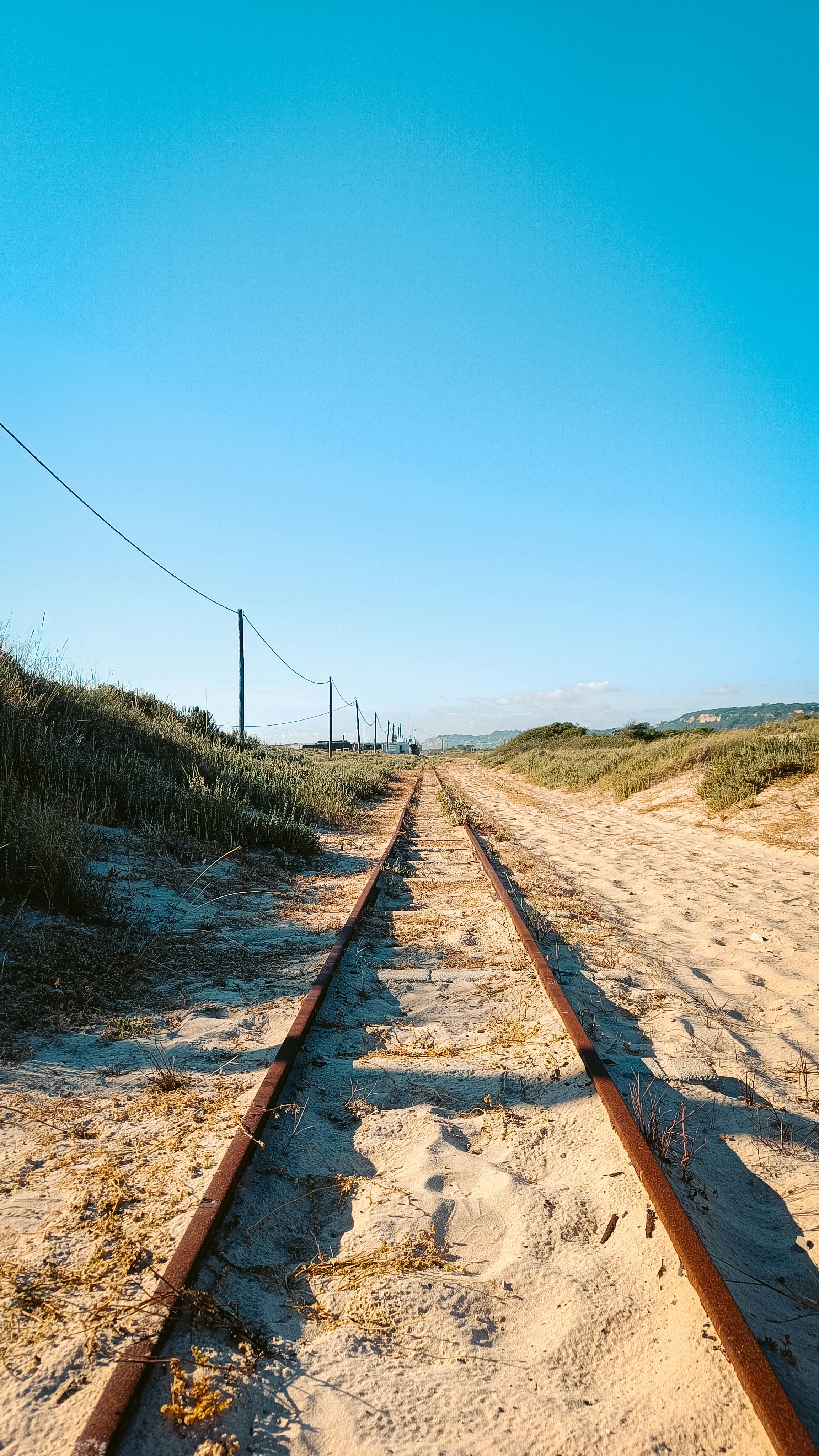 Photo by Cristian Tarzi with OnePlus Nord 2T