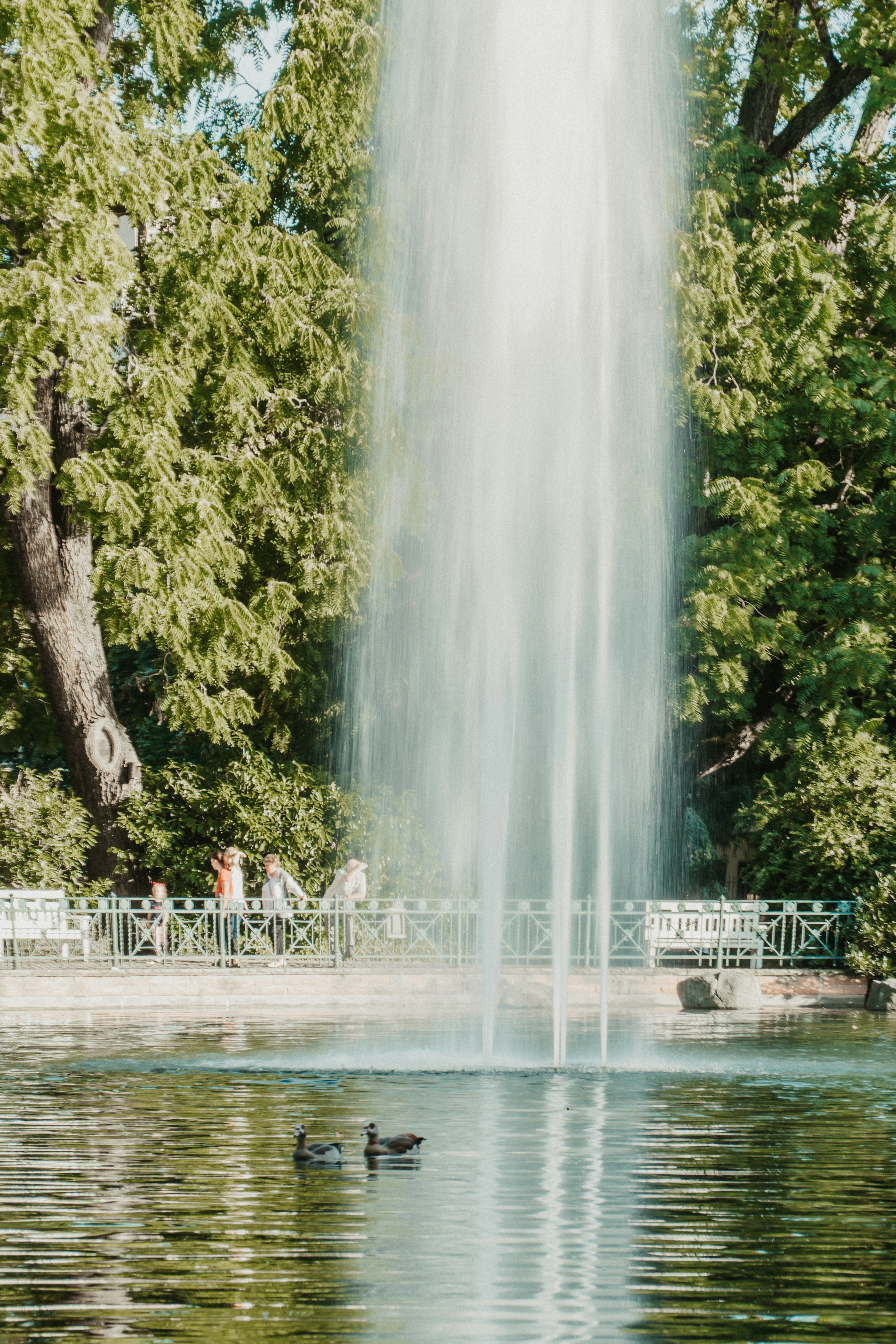 A large fountain spewing water into a lake surrounded by trees photo ...
