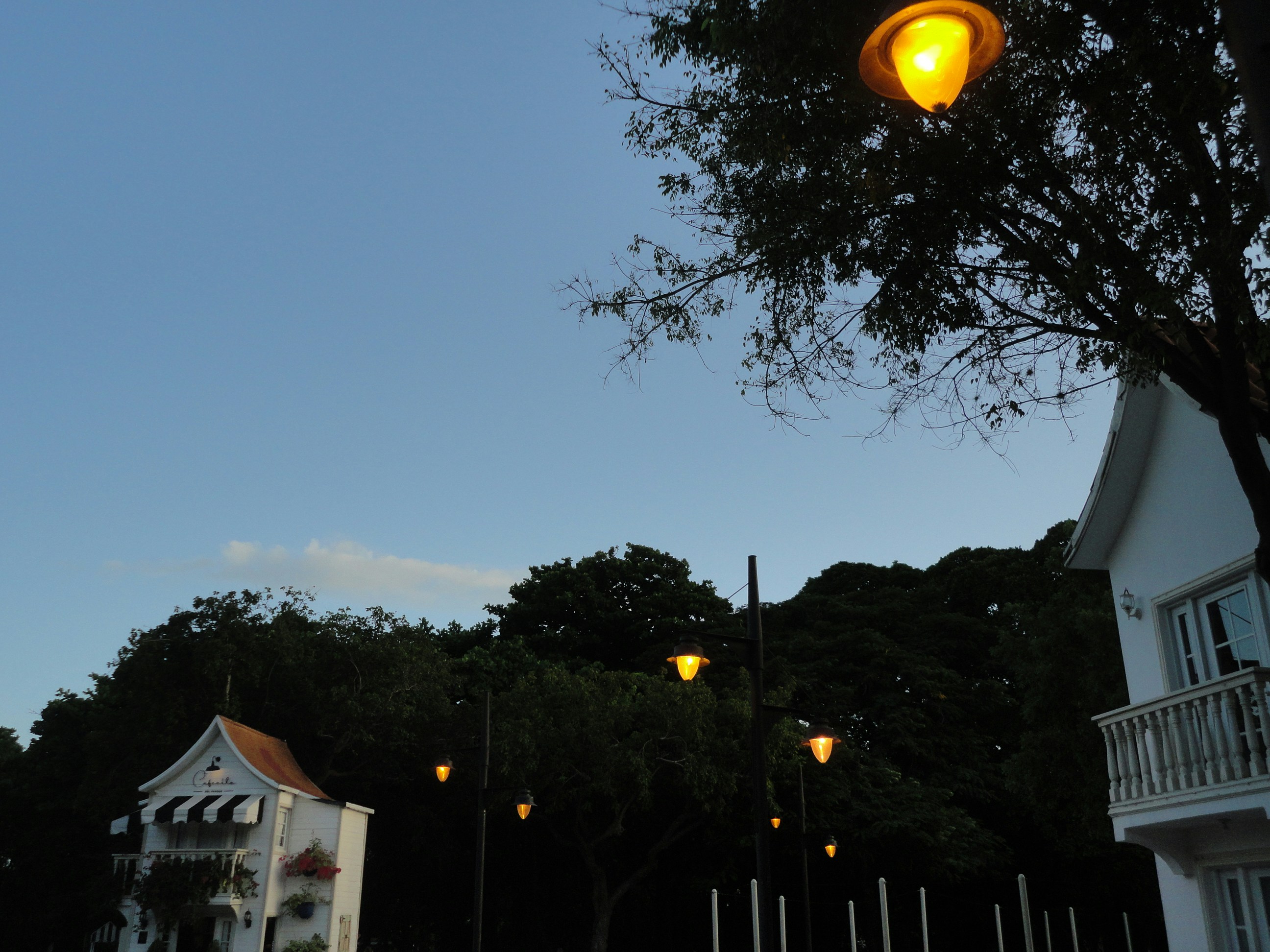 Streetlights illuminate a tree-lined street beside a white house at dusk.