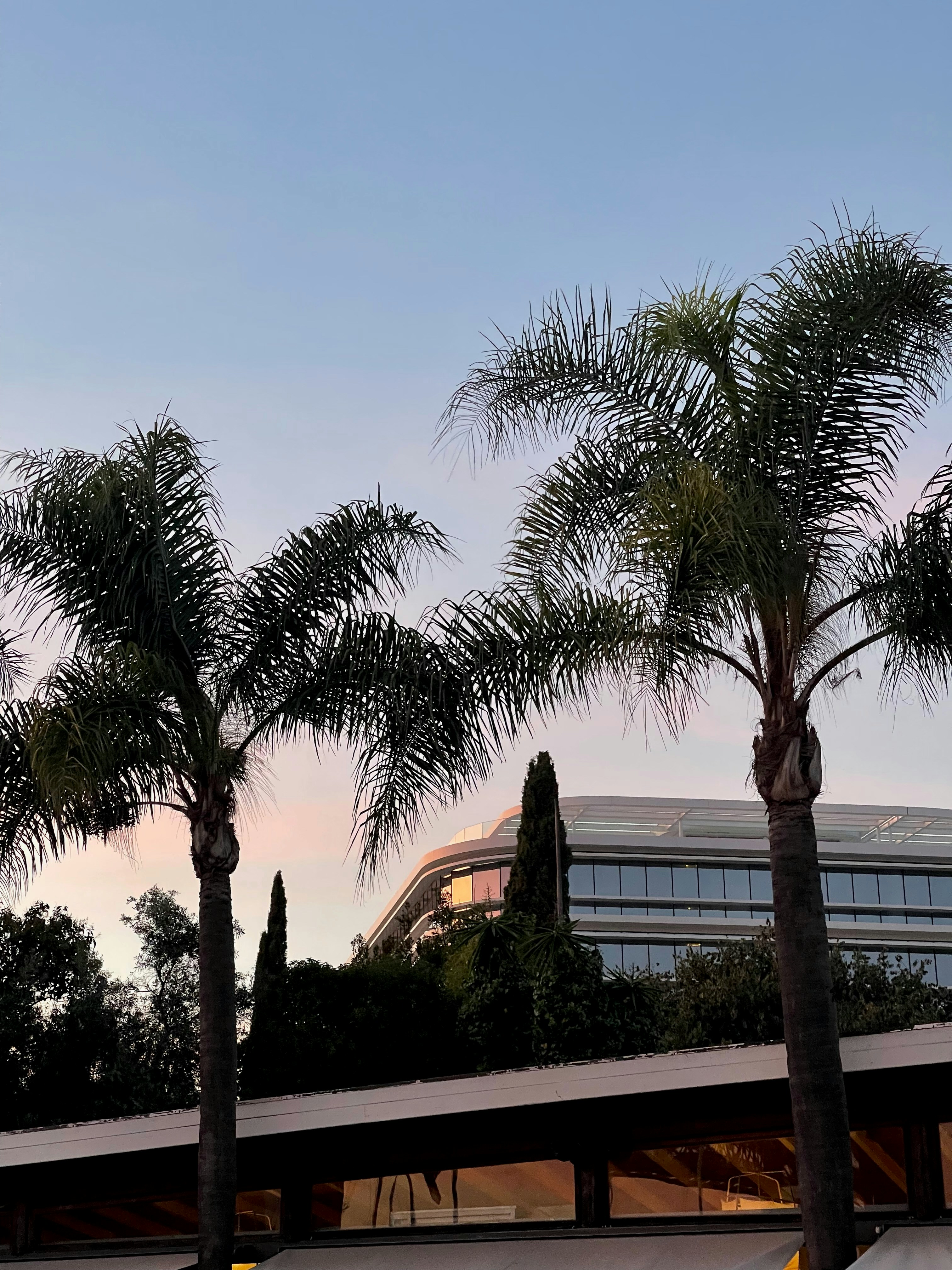 Photo by Max with Apple iPhone 12 Pro Max