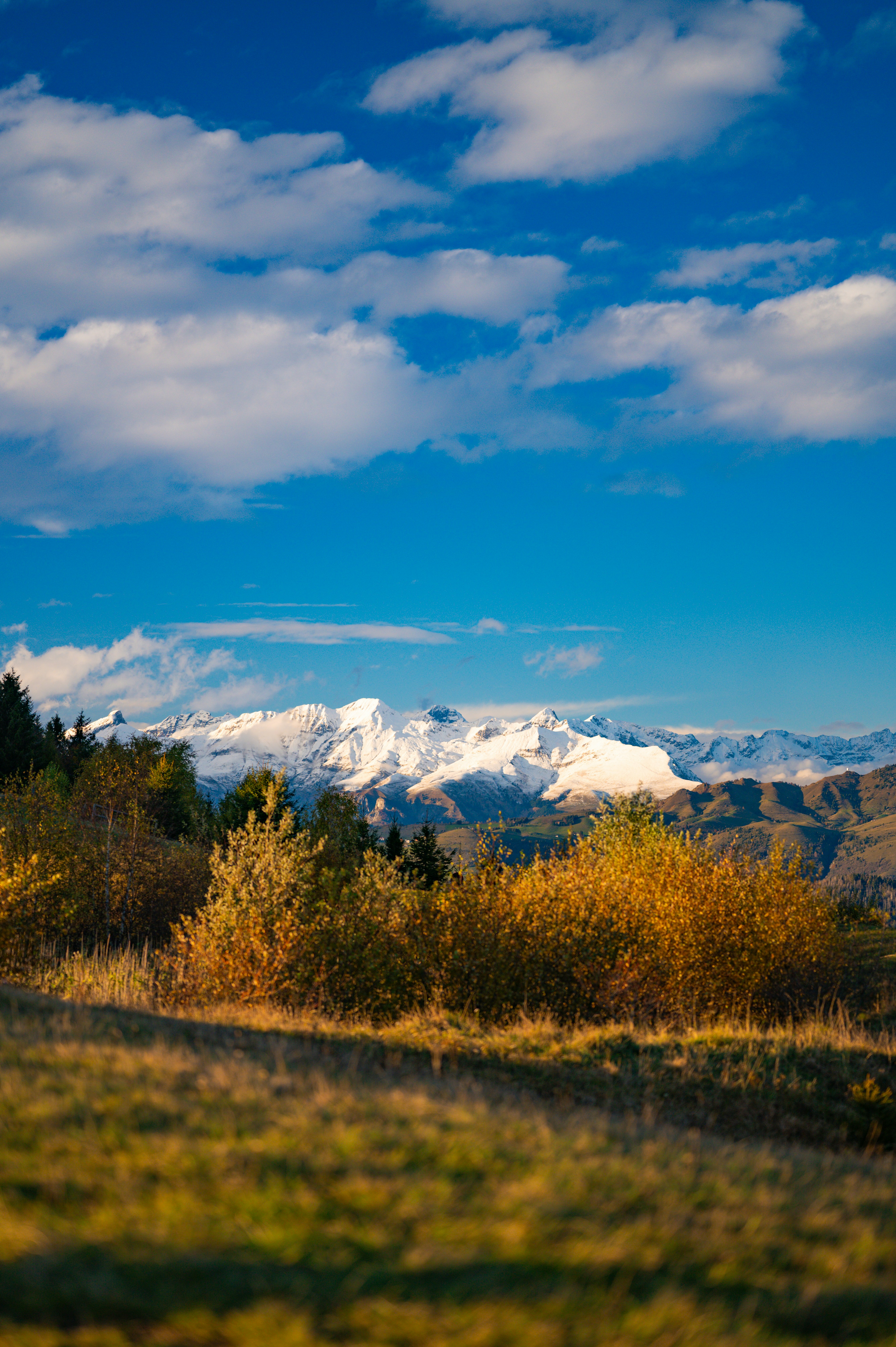 Snow-Kissed Ridge Framed by Autumn Gold