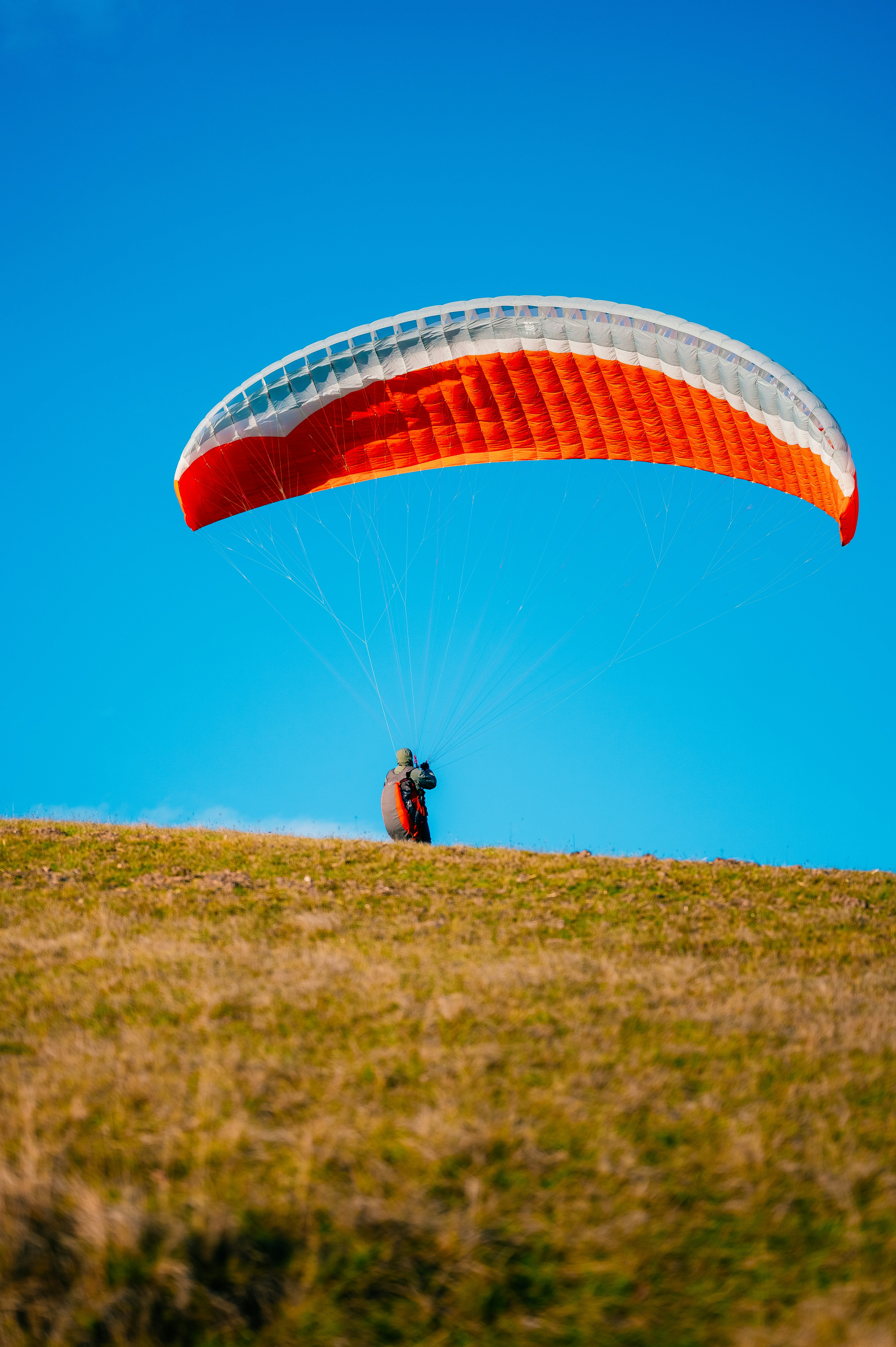 Crimson Arc Over a Blue Horizon: Paraglider Lifts from a Sunlit Hill