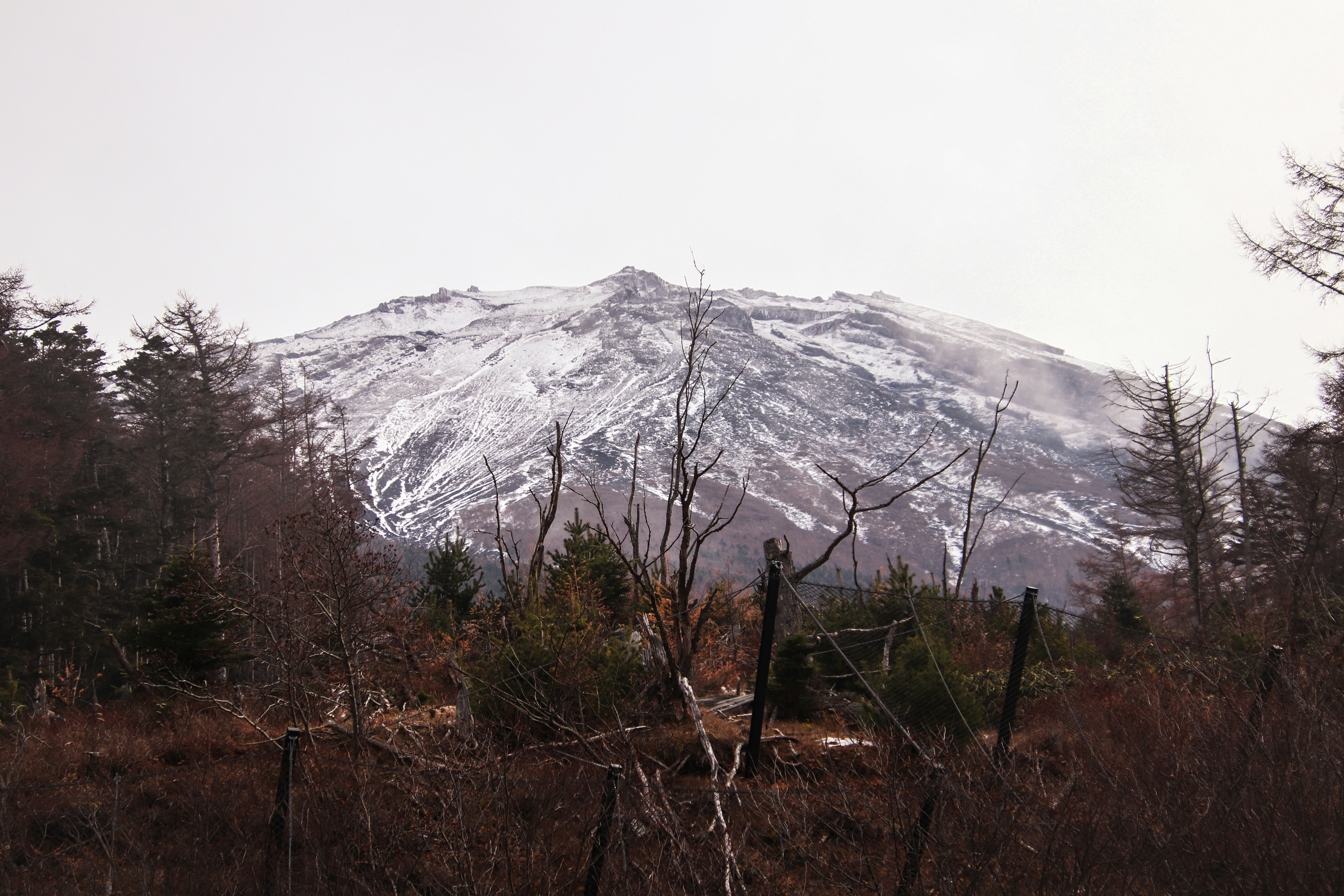 Photo by :DC Snapshots with Canon EOS 77D