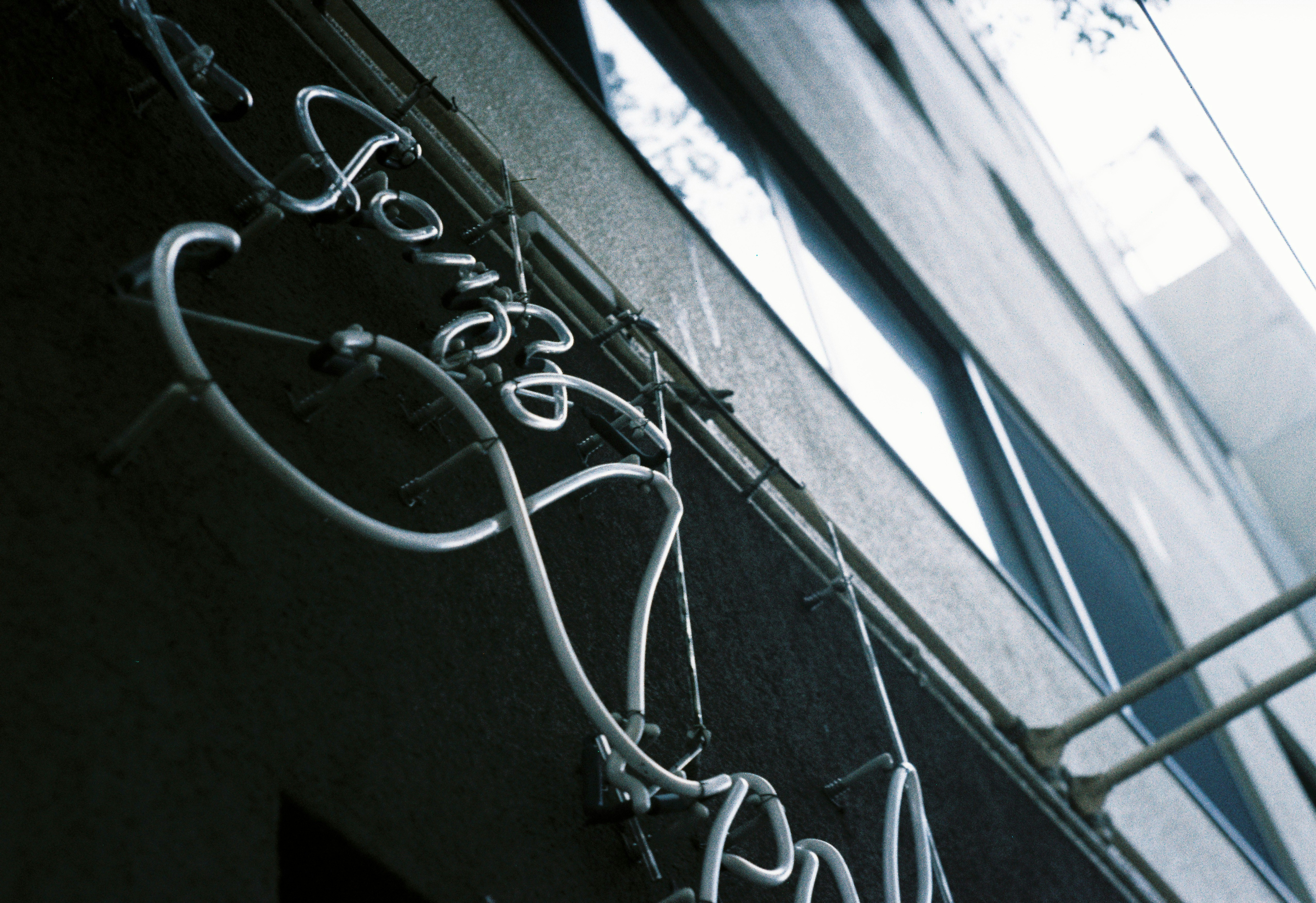 Neon Whispers Against Urban Shadows