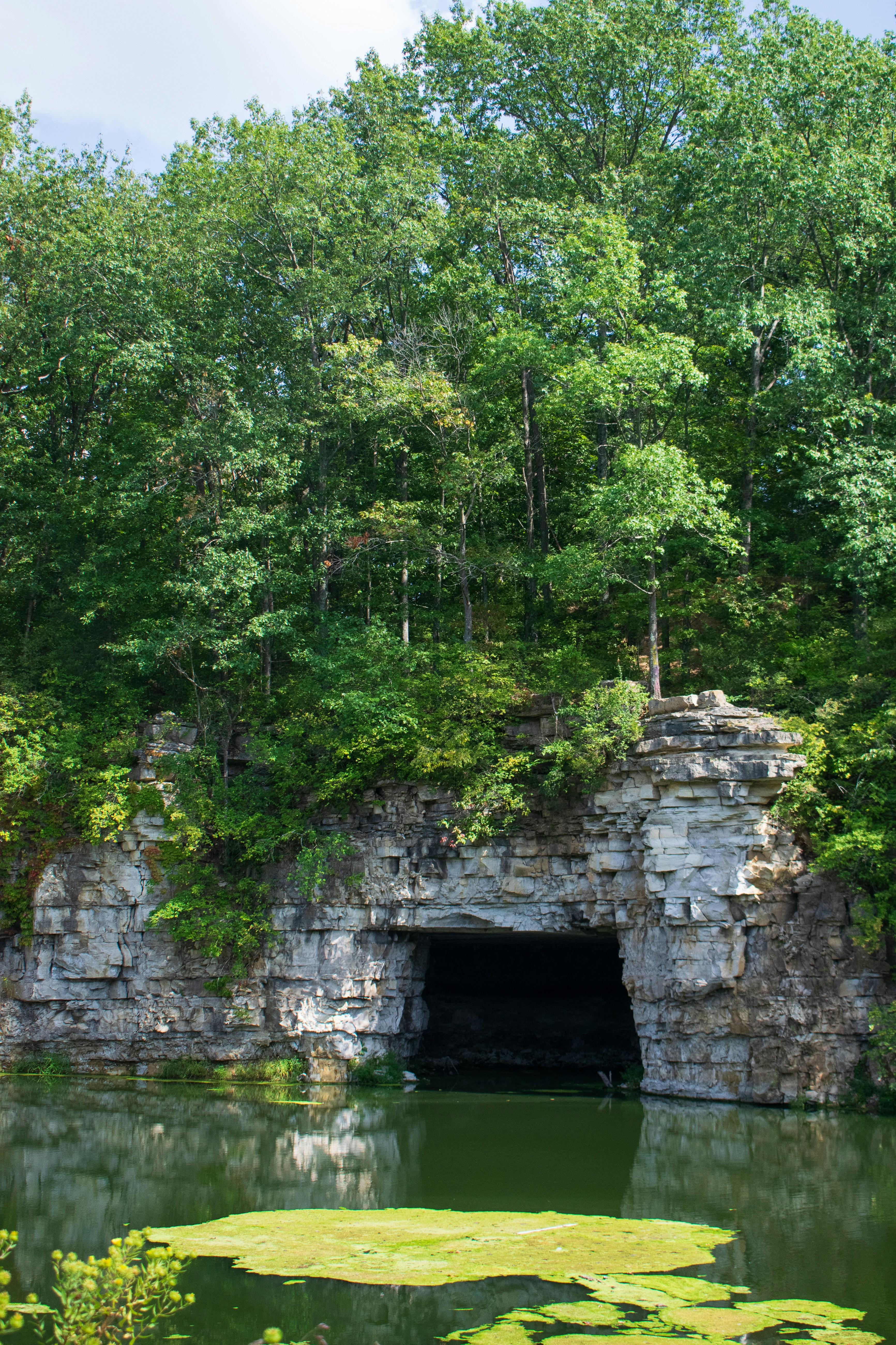 Forest Crest and Hidden Gate: A Limestone Tunnel Surrounded by Greenery