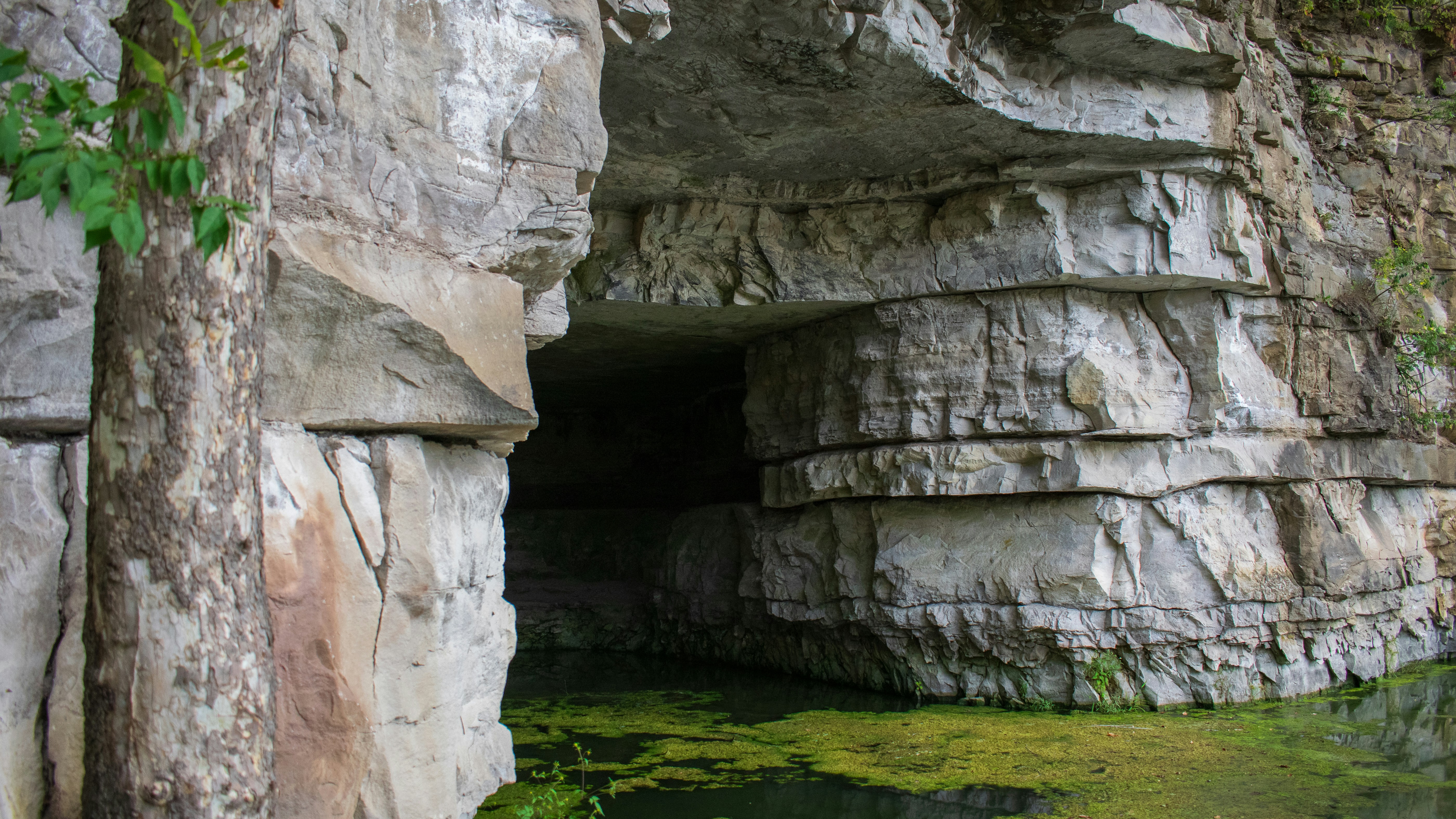 A cave entrance with water inside of it photo – Free Whitecliff park ...