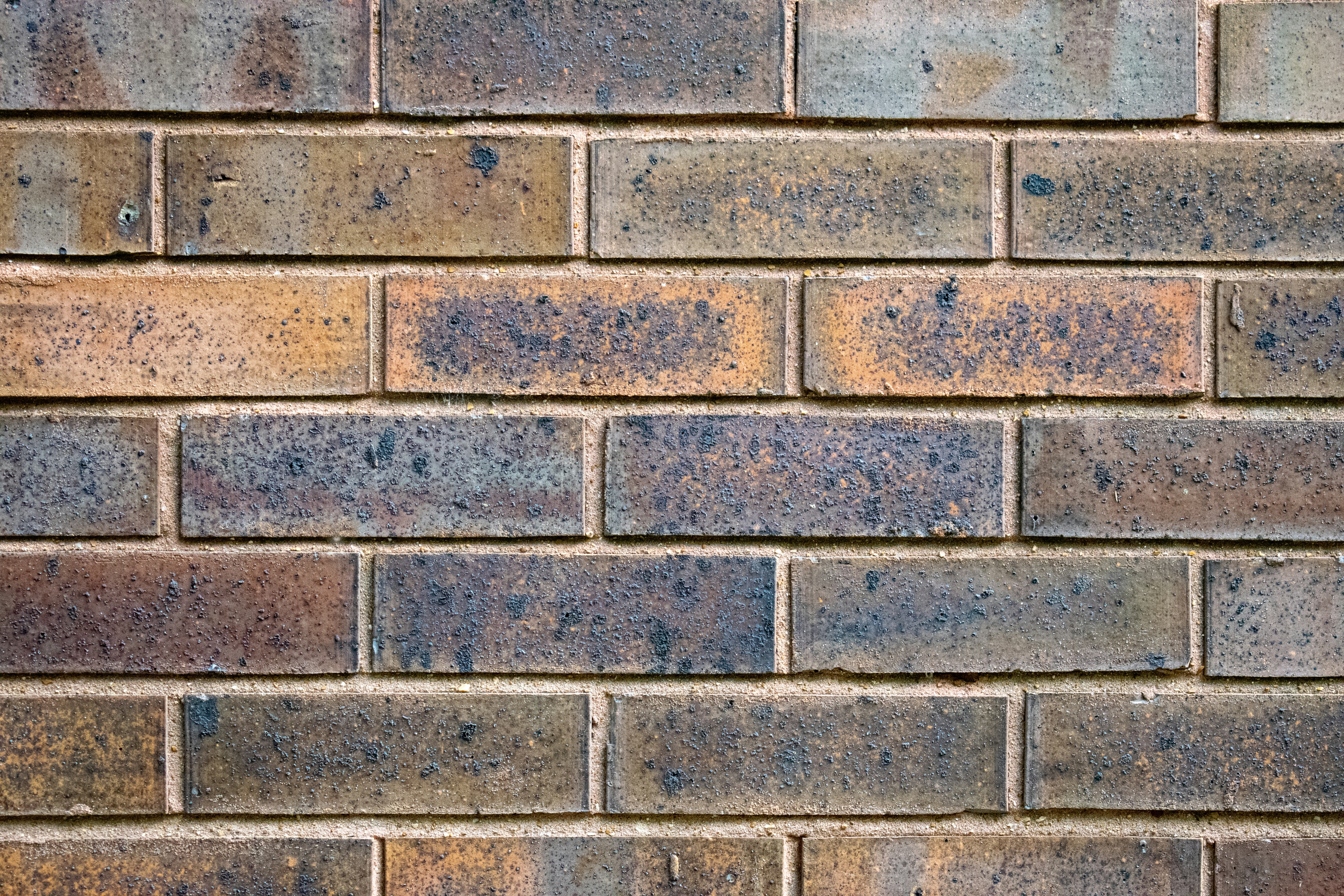 A close up of a brick wall made of bricks photo – Free Building ...