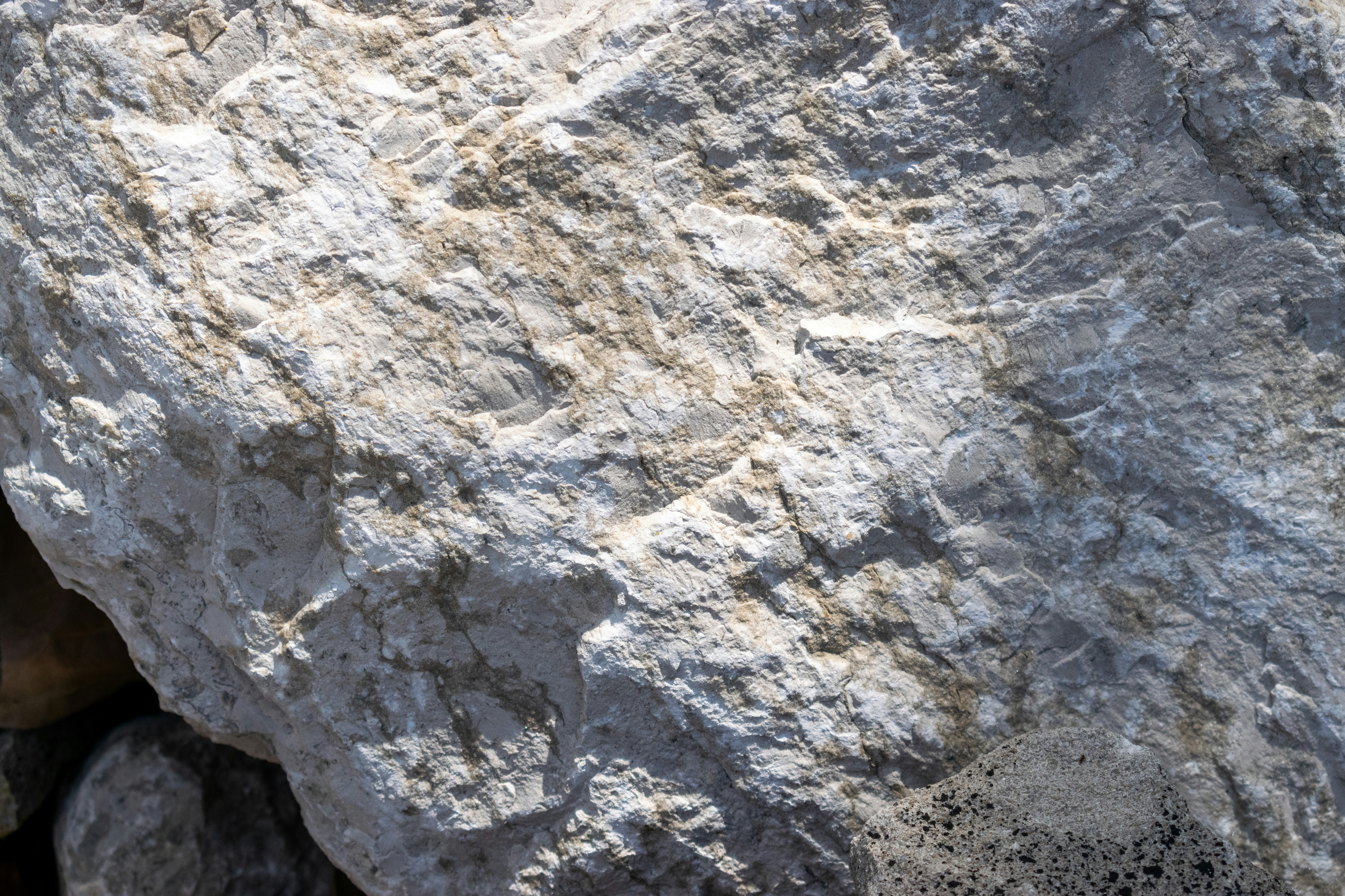 A close up of a rock with rocks in the background photo – Free Grey ...