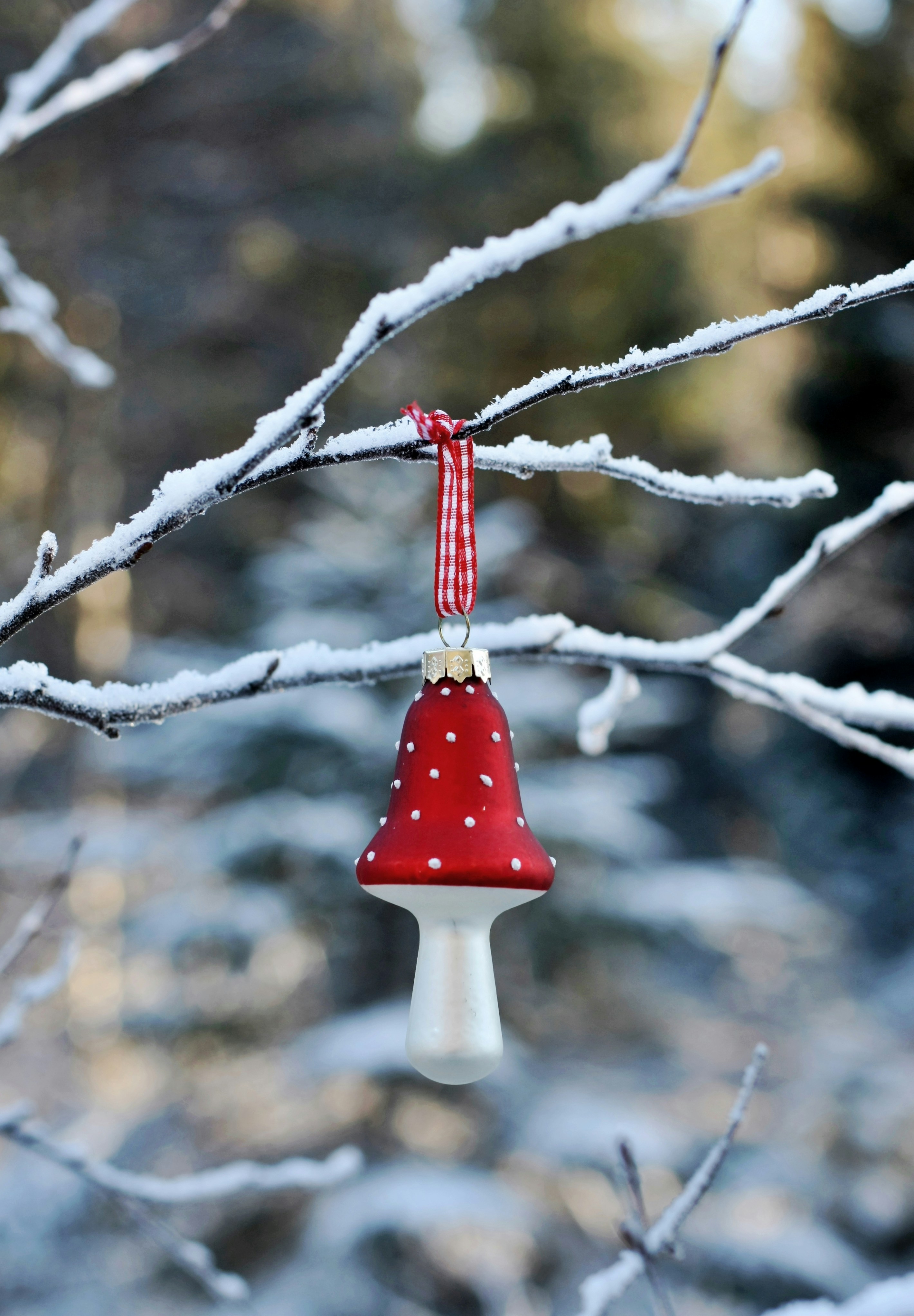 Winter Red Bell: A Mushroom Ornament on Frosted Branches