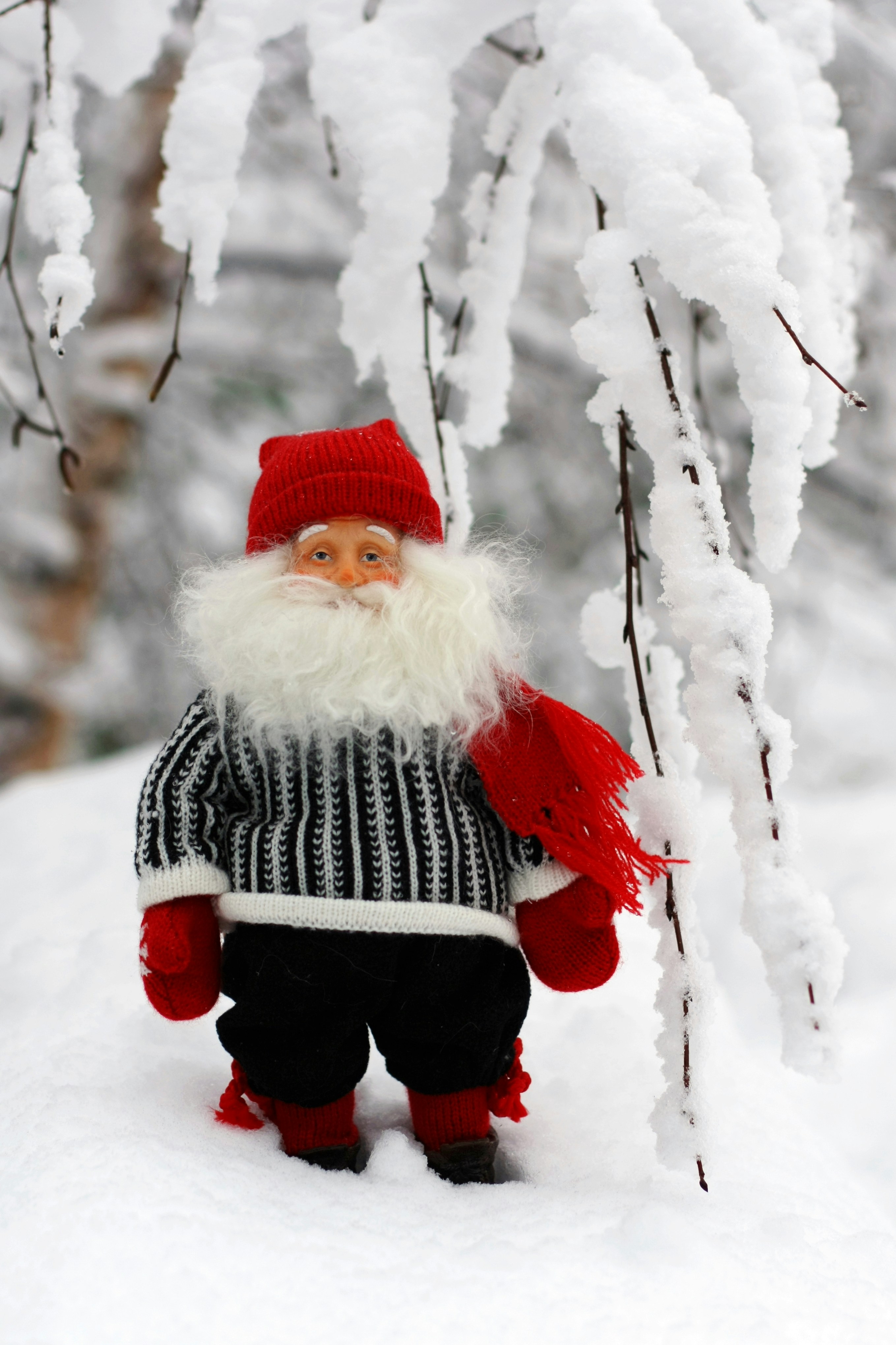 Tiny Santa Figurine Stands in Snow Beneath Frosted Branches