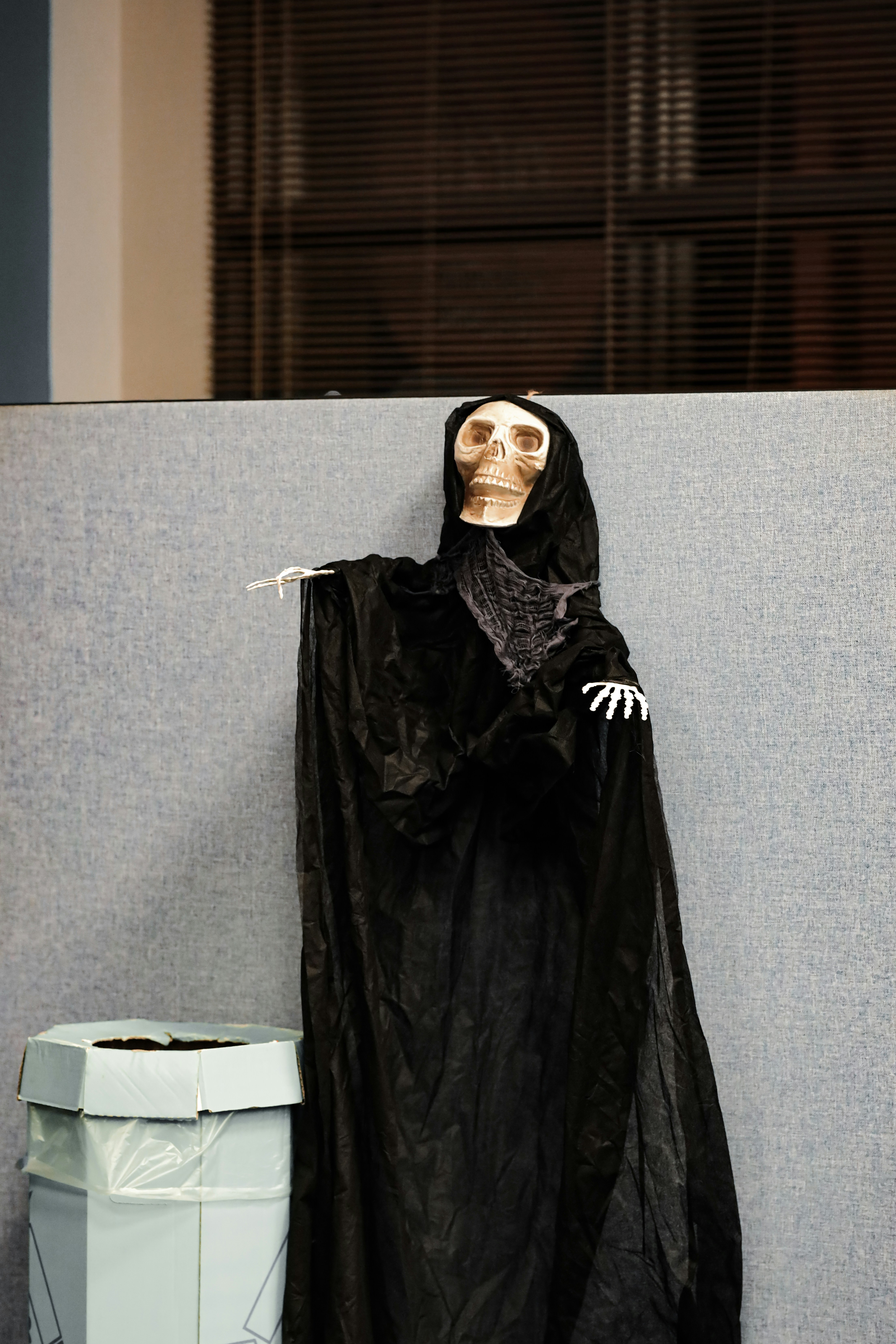 A skeleton dressed in a black cloak next to a trash can photo – Free ...