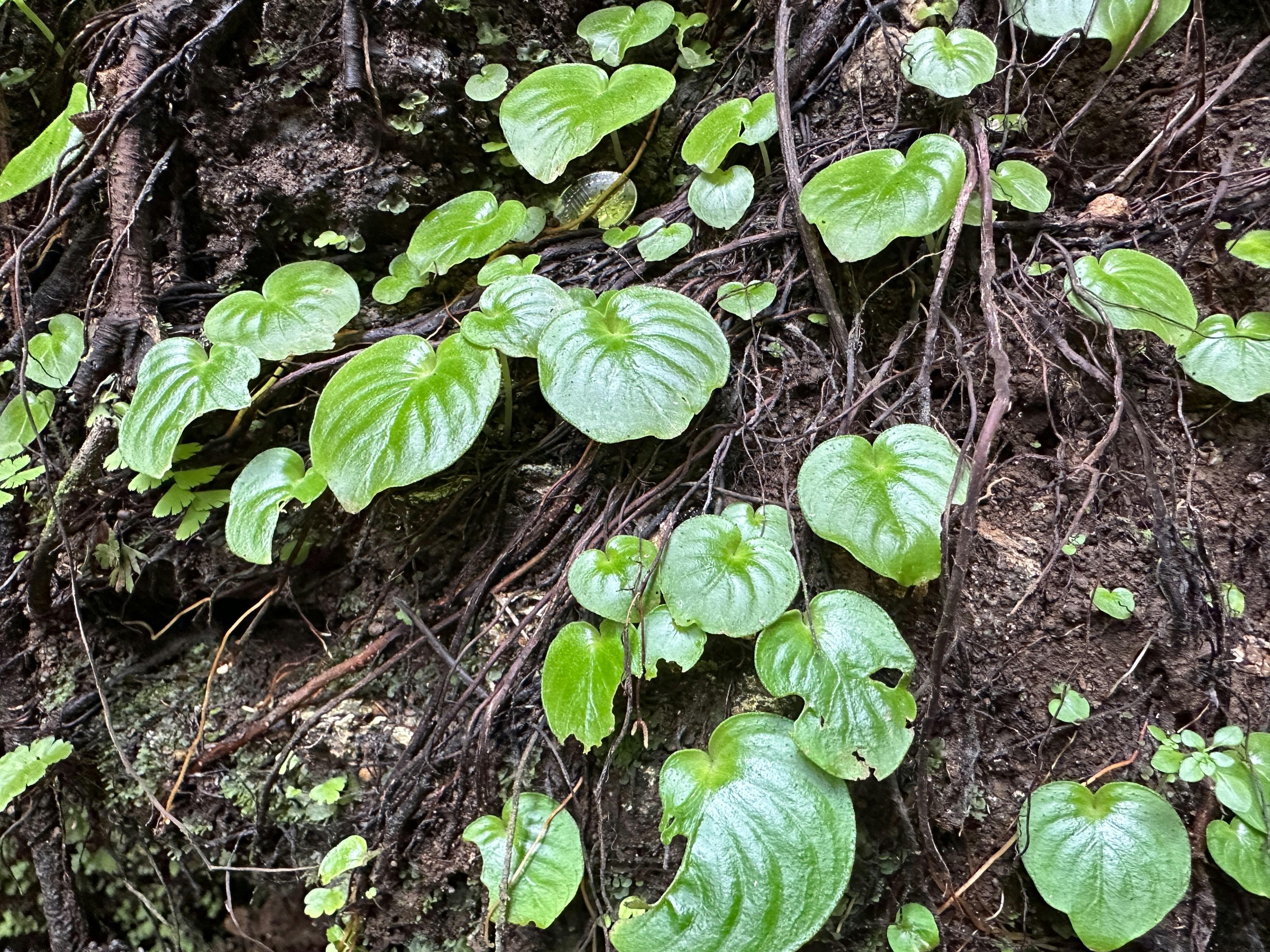 Alma Kai (@alma_kai_mt) | Comunidade de fotos da Unsplash