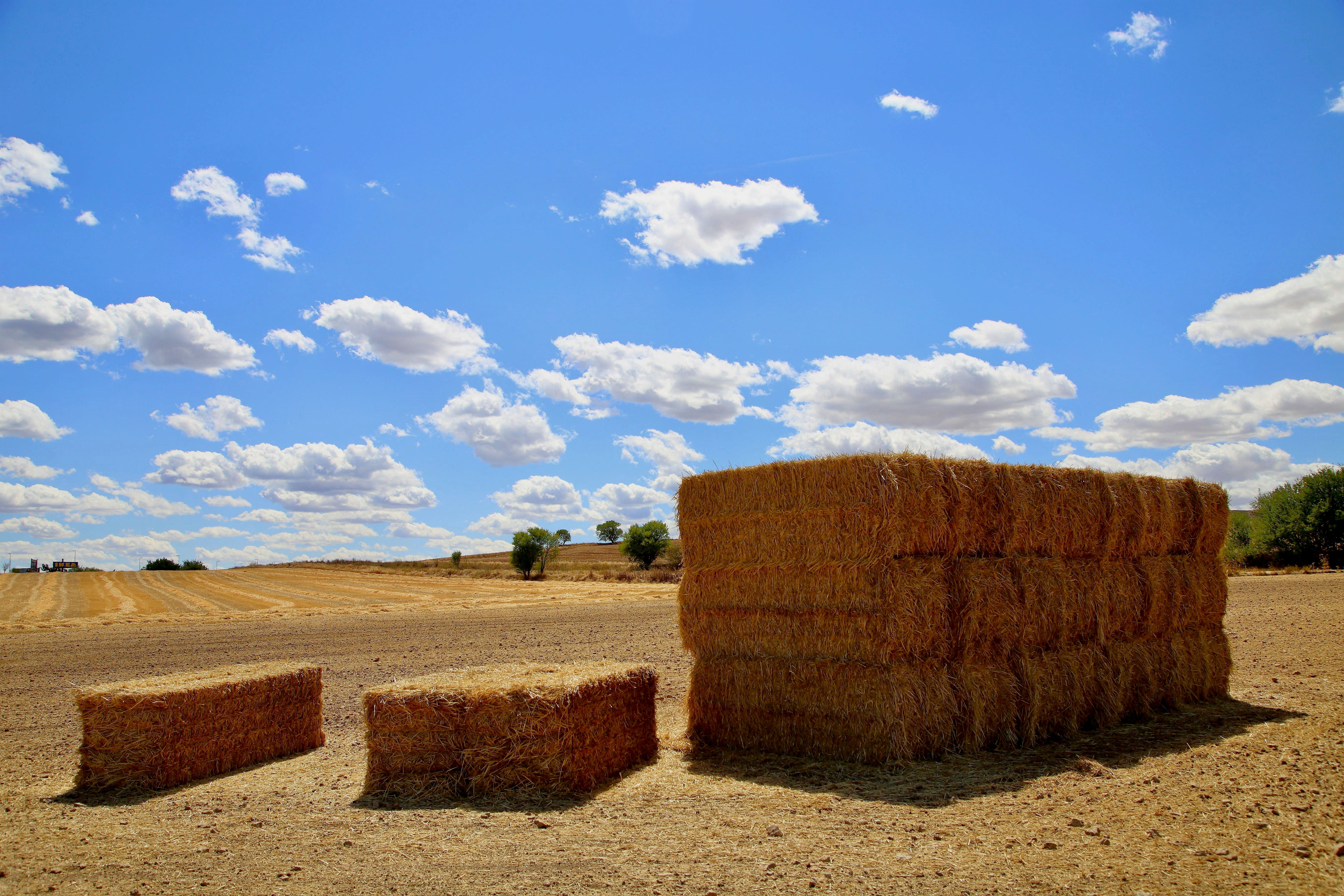Hay bales stacked in a dry, open field beneath a bright blue sky with scattered clouds.