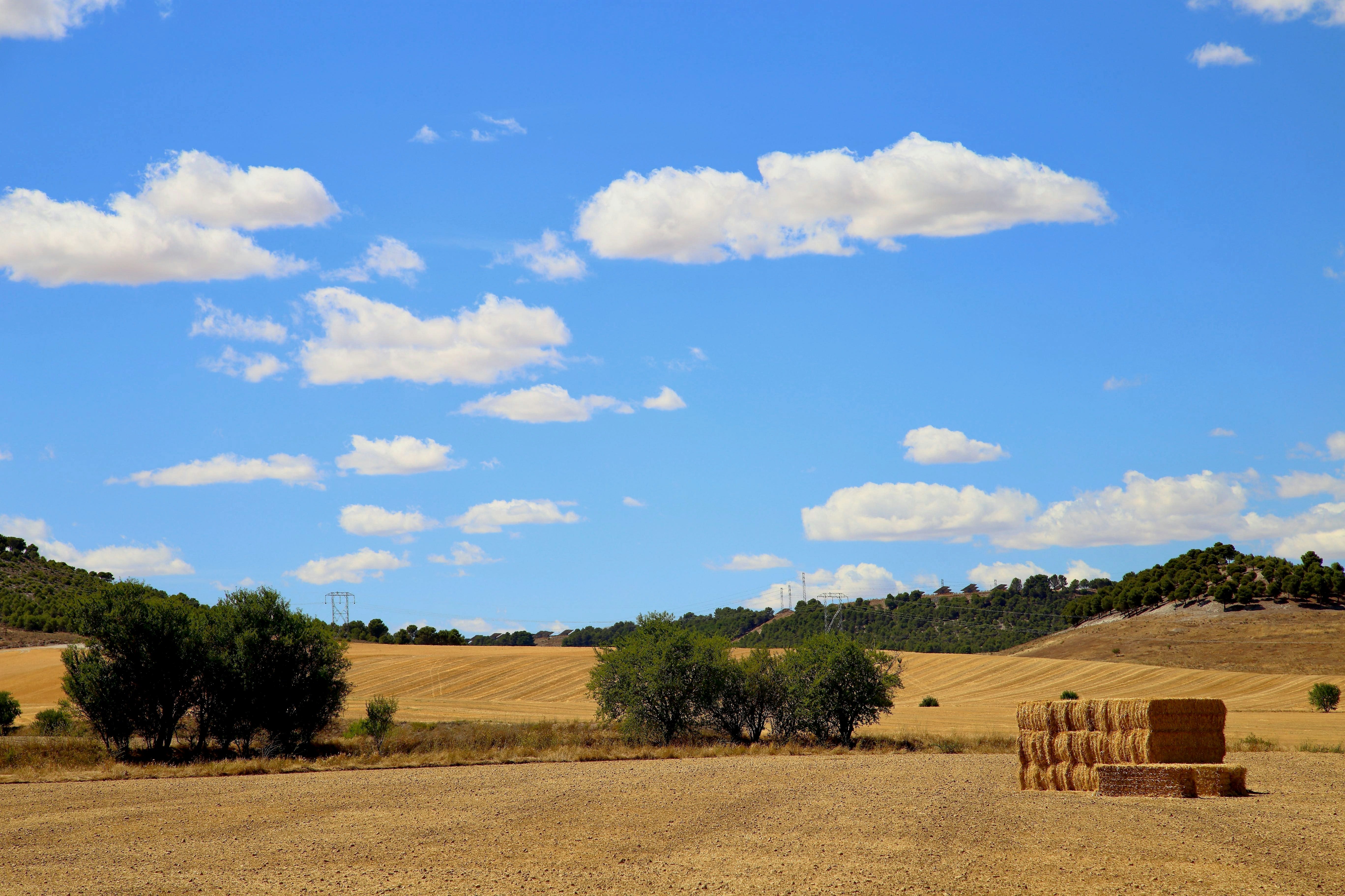 Expansive dry field with hay bales and sparse trees under a sky dotted with fluffy clouds.