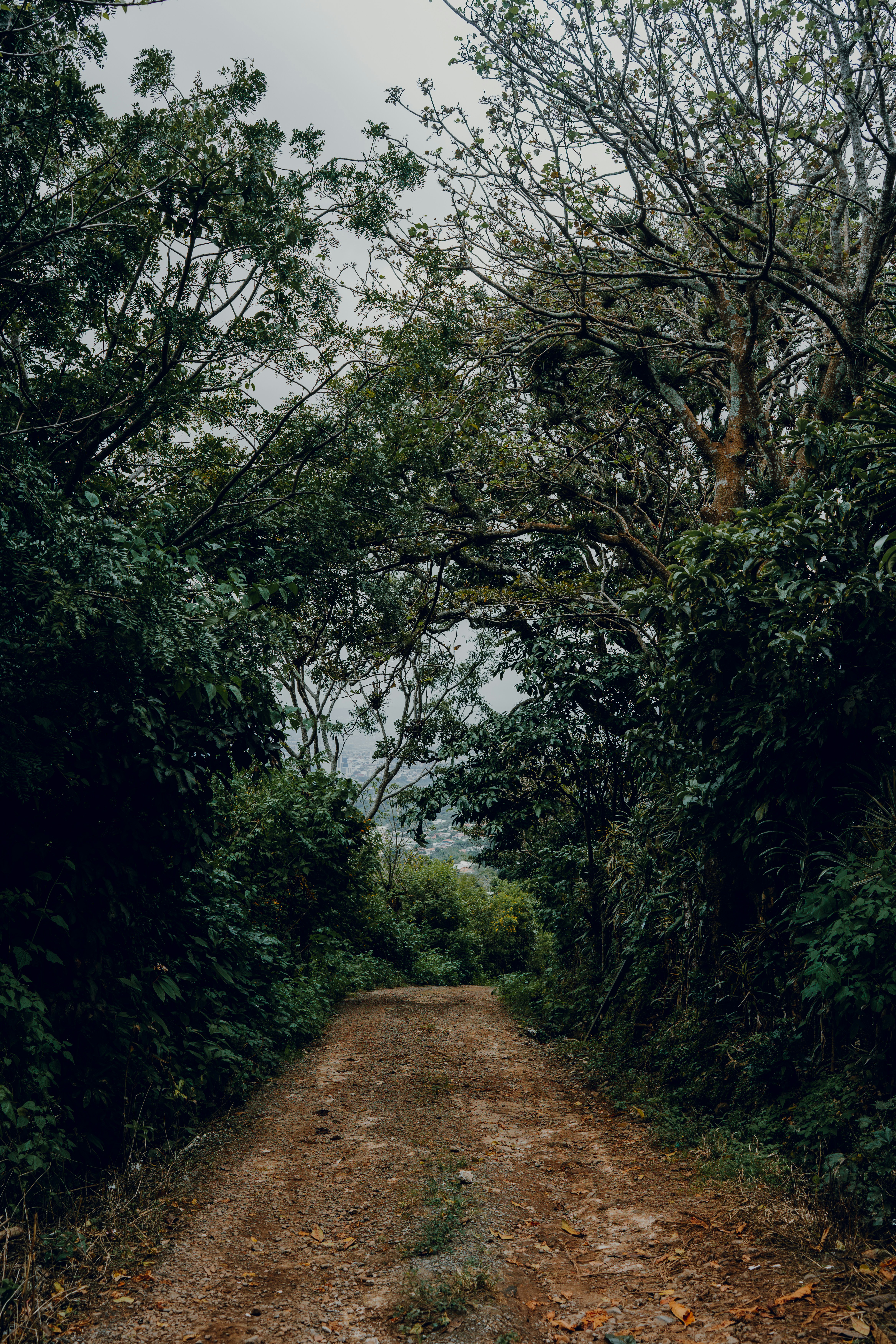 Dirt Road in Costa Rica