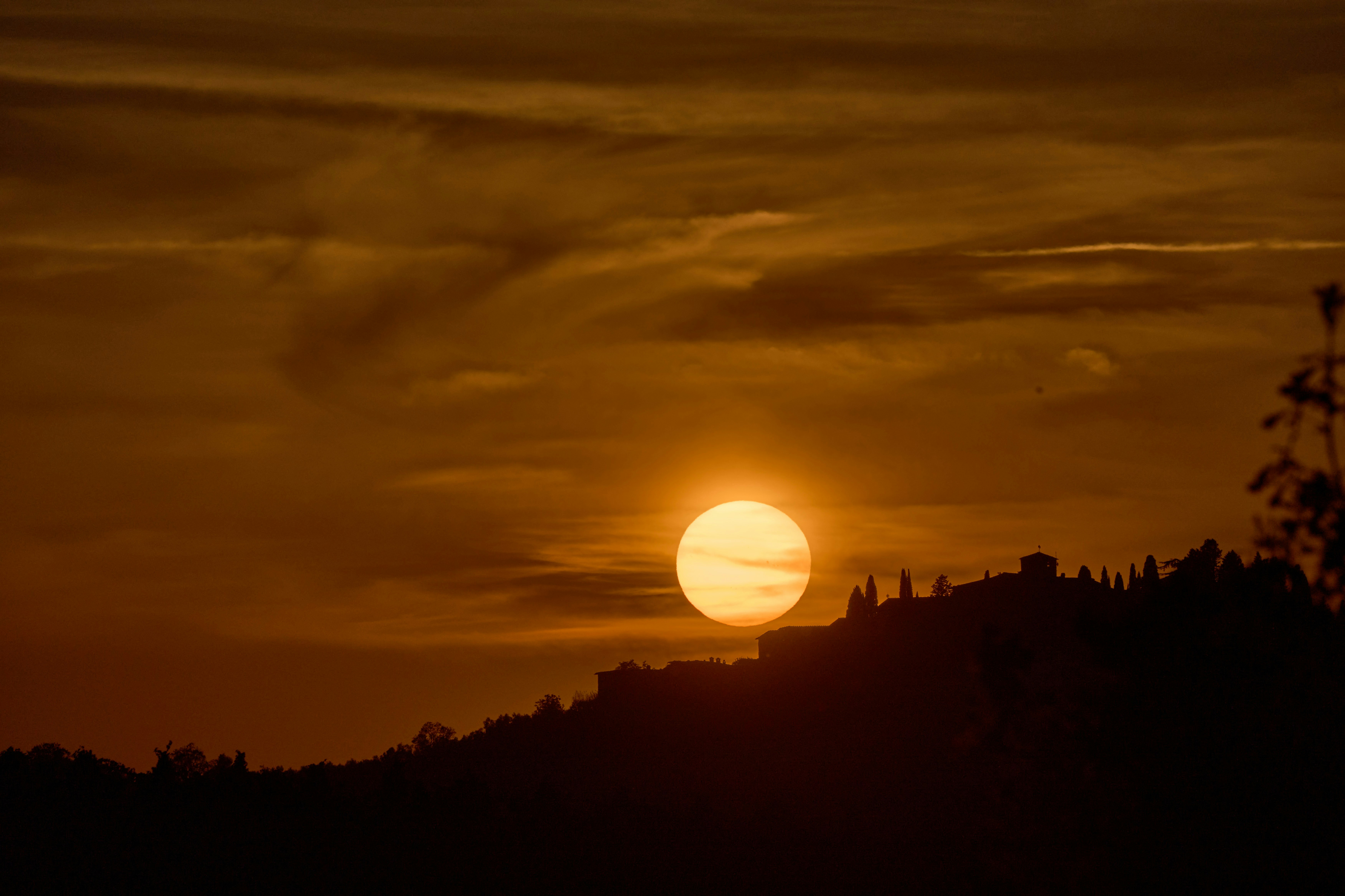 The sun is setting over a hill with trees photo – Free Brown Image on ...