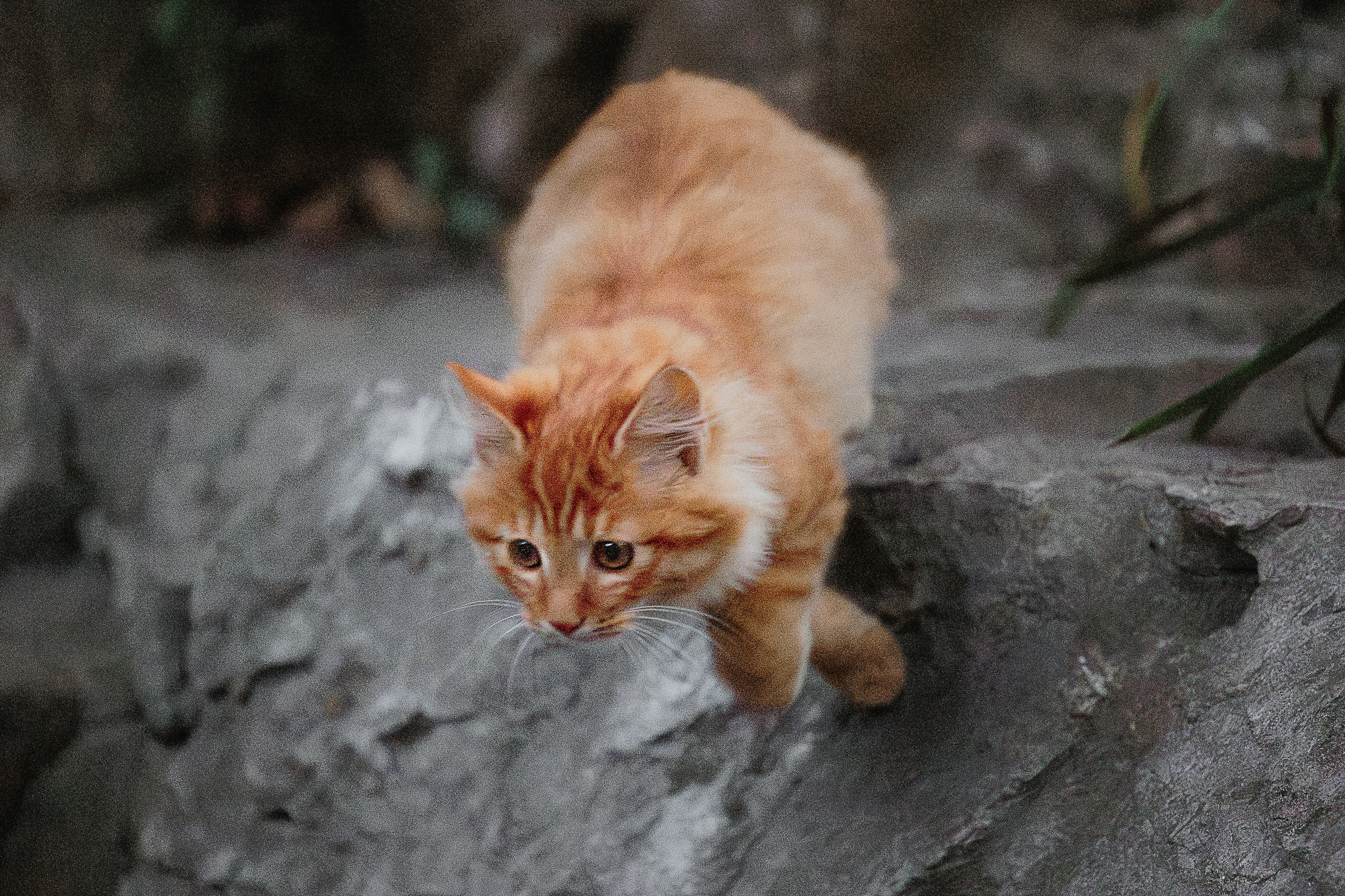 Photo by realfish with Canon EOS R6