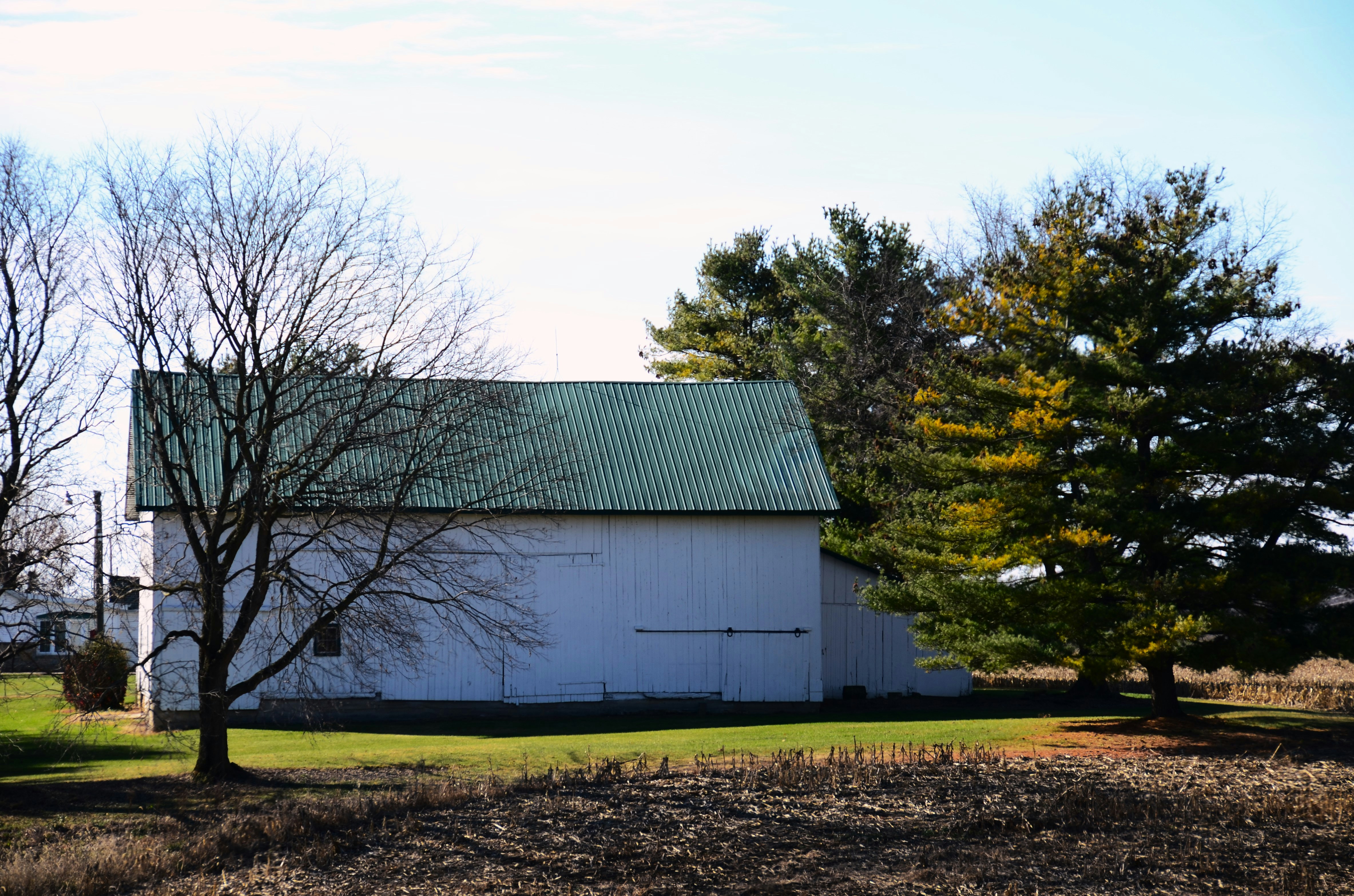 A white barn with a green roof surrounded by trees photo – Free ...
