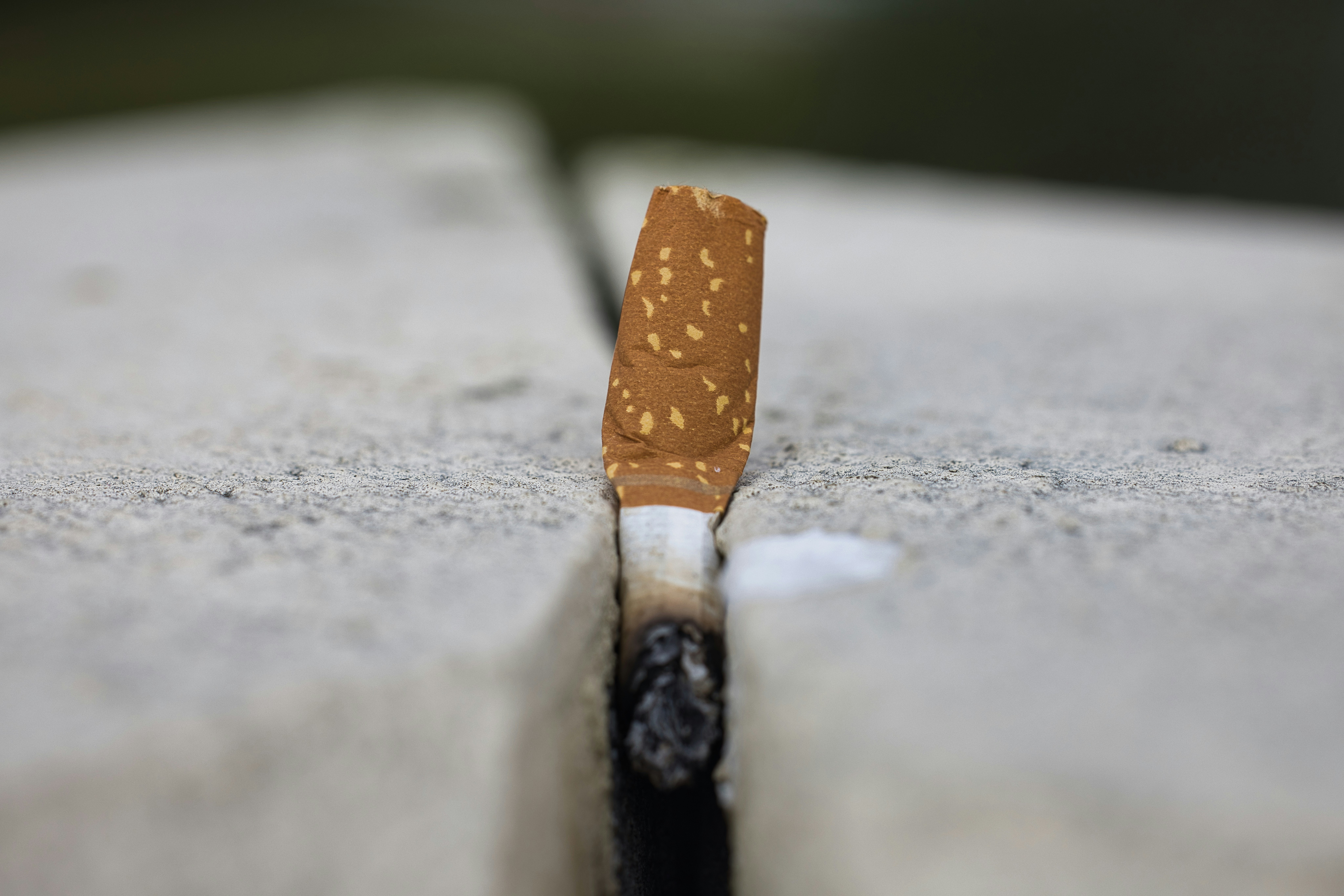 Gap Keeper: A Cigarette Butt Perched Between Concrete Slabs