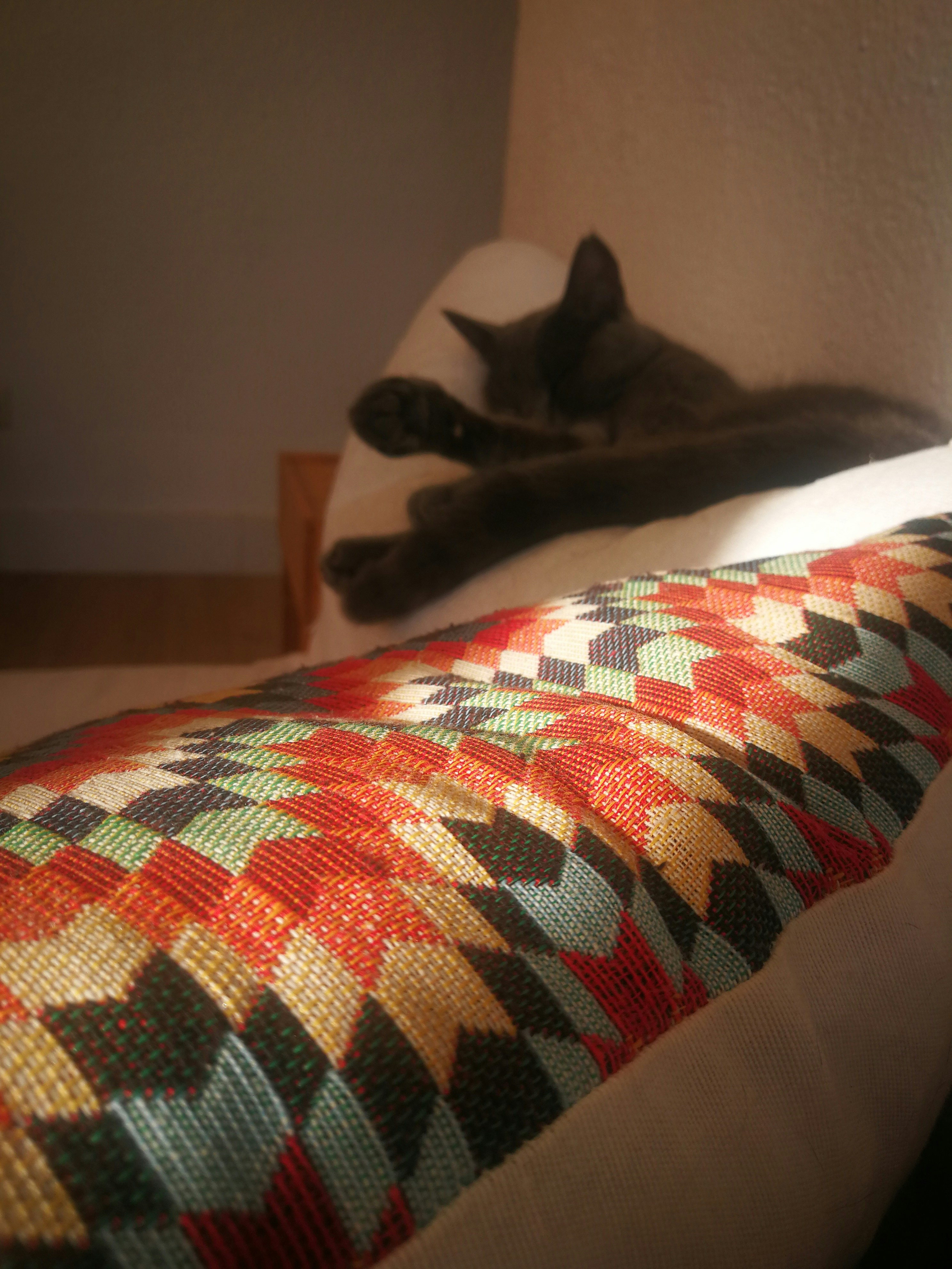 A dark cat naps on a white cushion in the background as a colorful geometric textile sweeps across the foreground.
