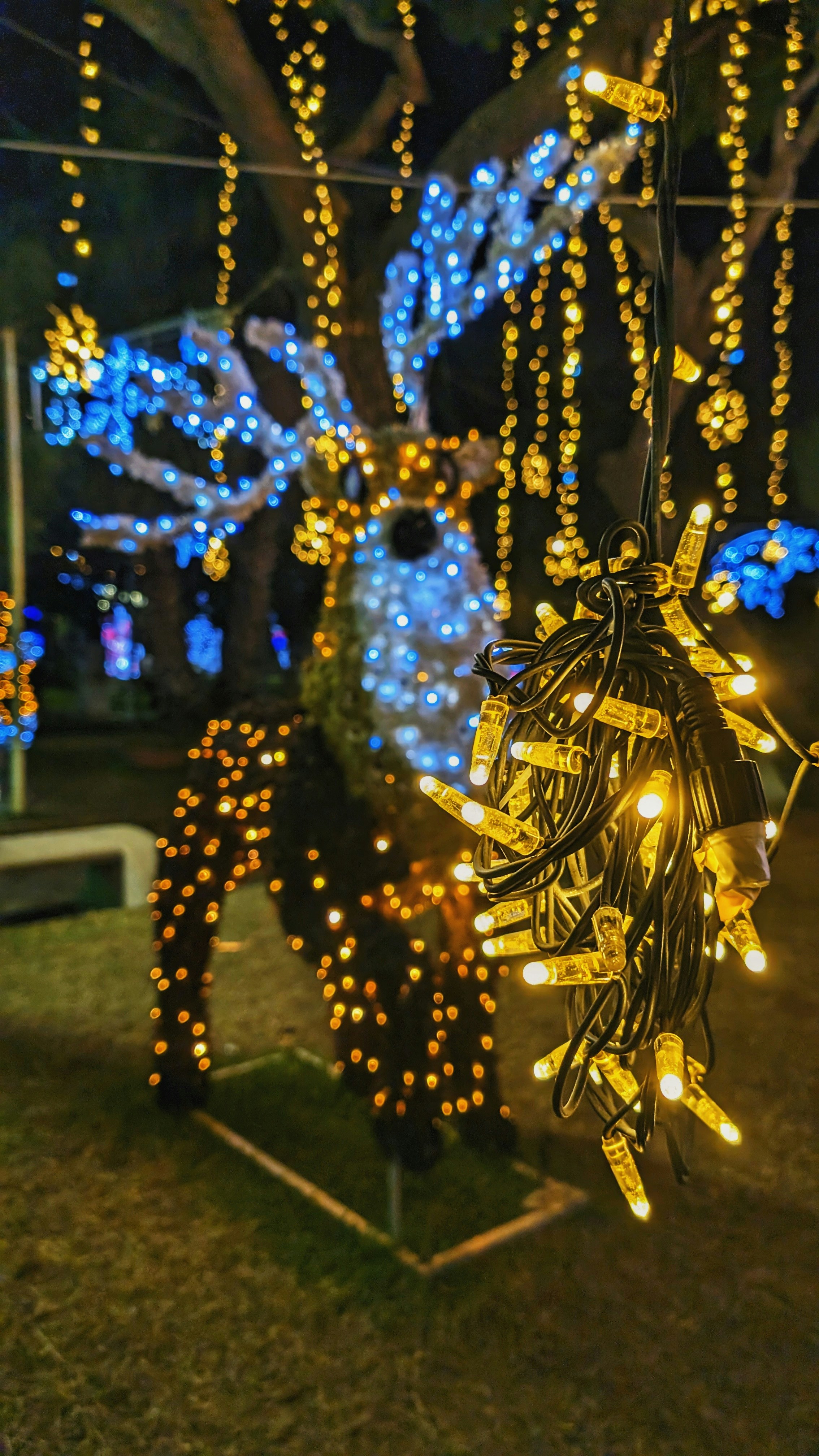 Glowing Garland Cascade: A Night Garden of Warm Lights