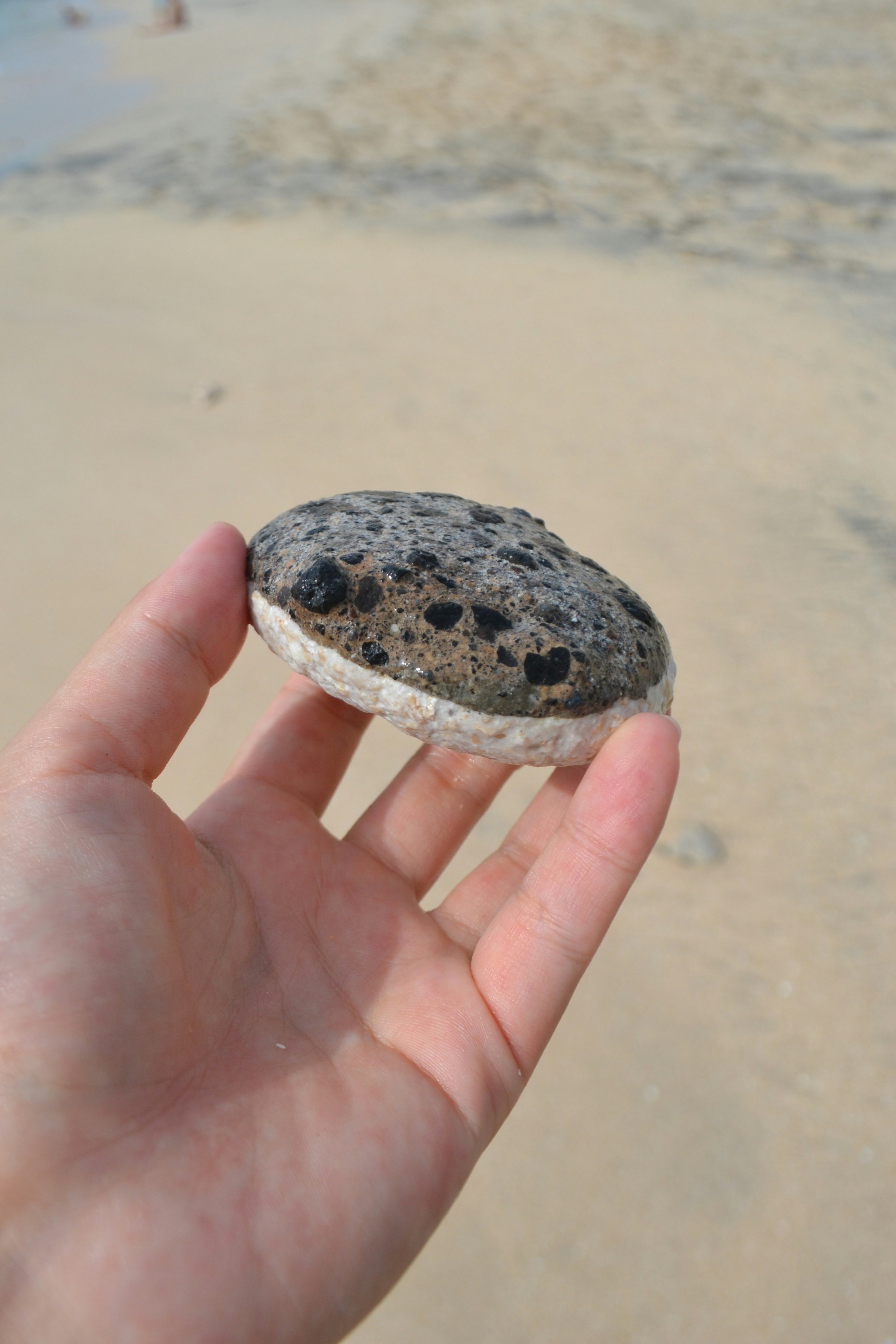 Pocked Beach Stone Balanced in a Gentle Hand