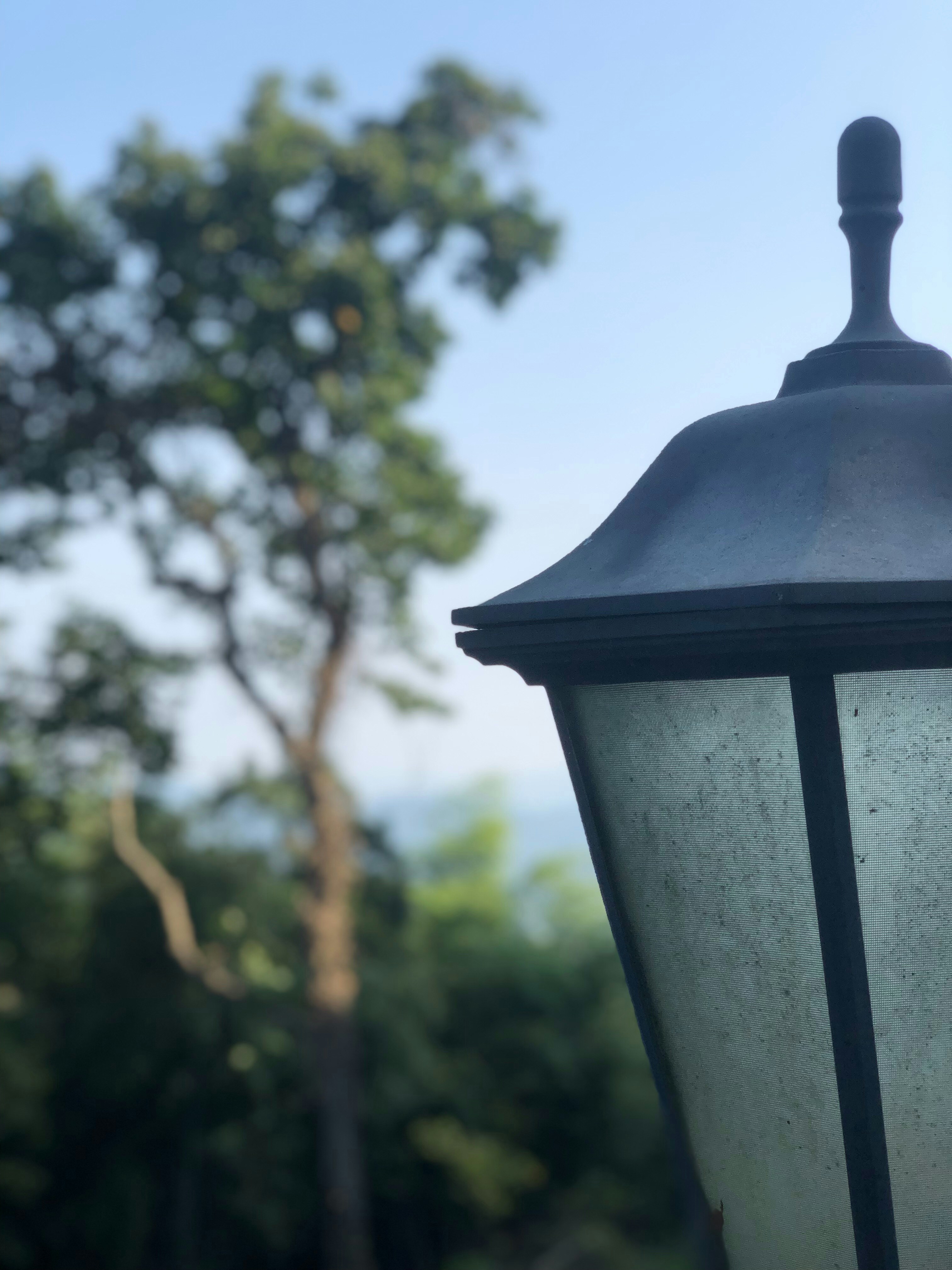 Weathered Lantern Framed by a Quiet Garden Backdrop