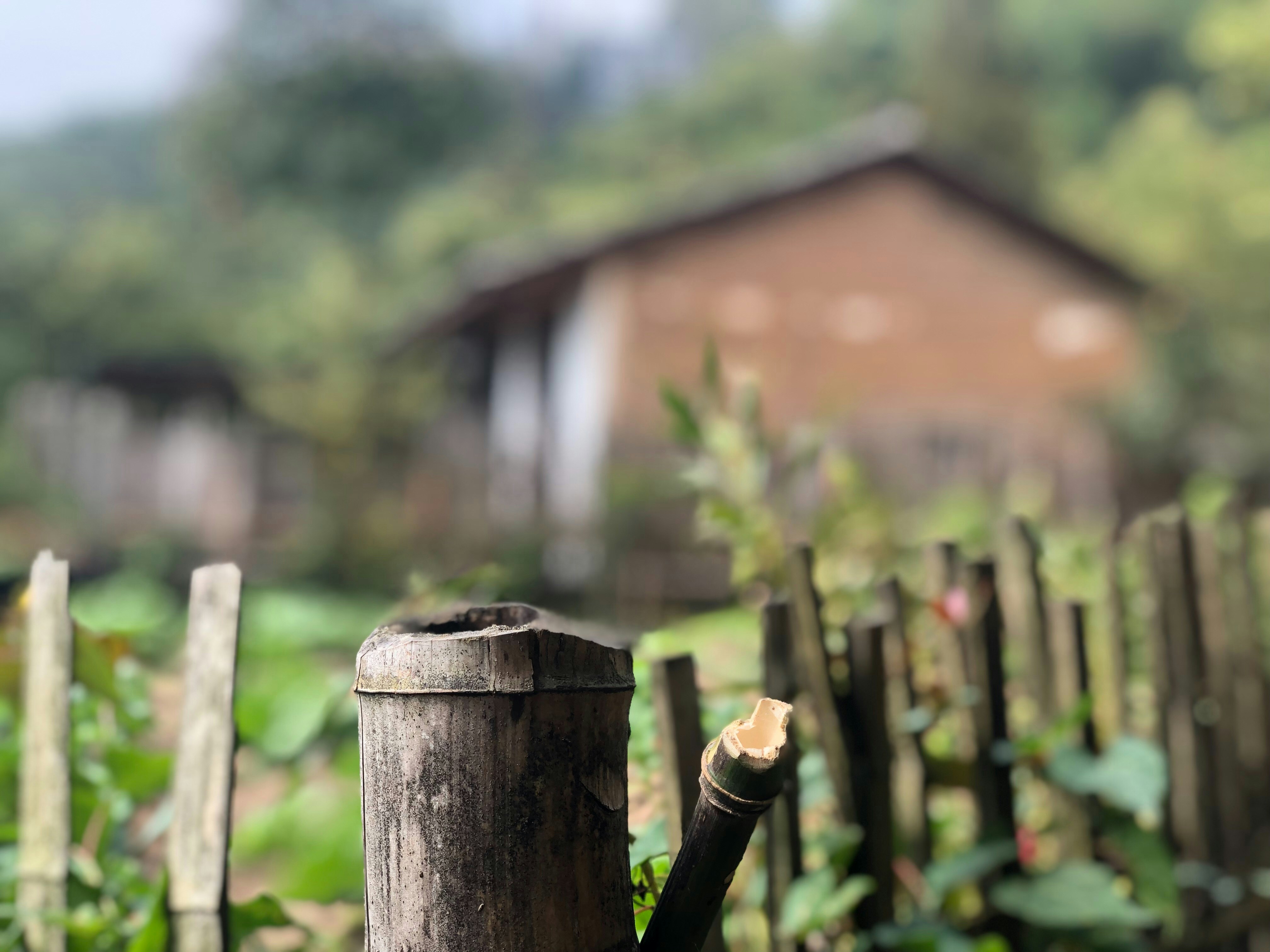 Weathered Post in the Quiet Fence Corridor