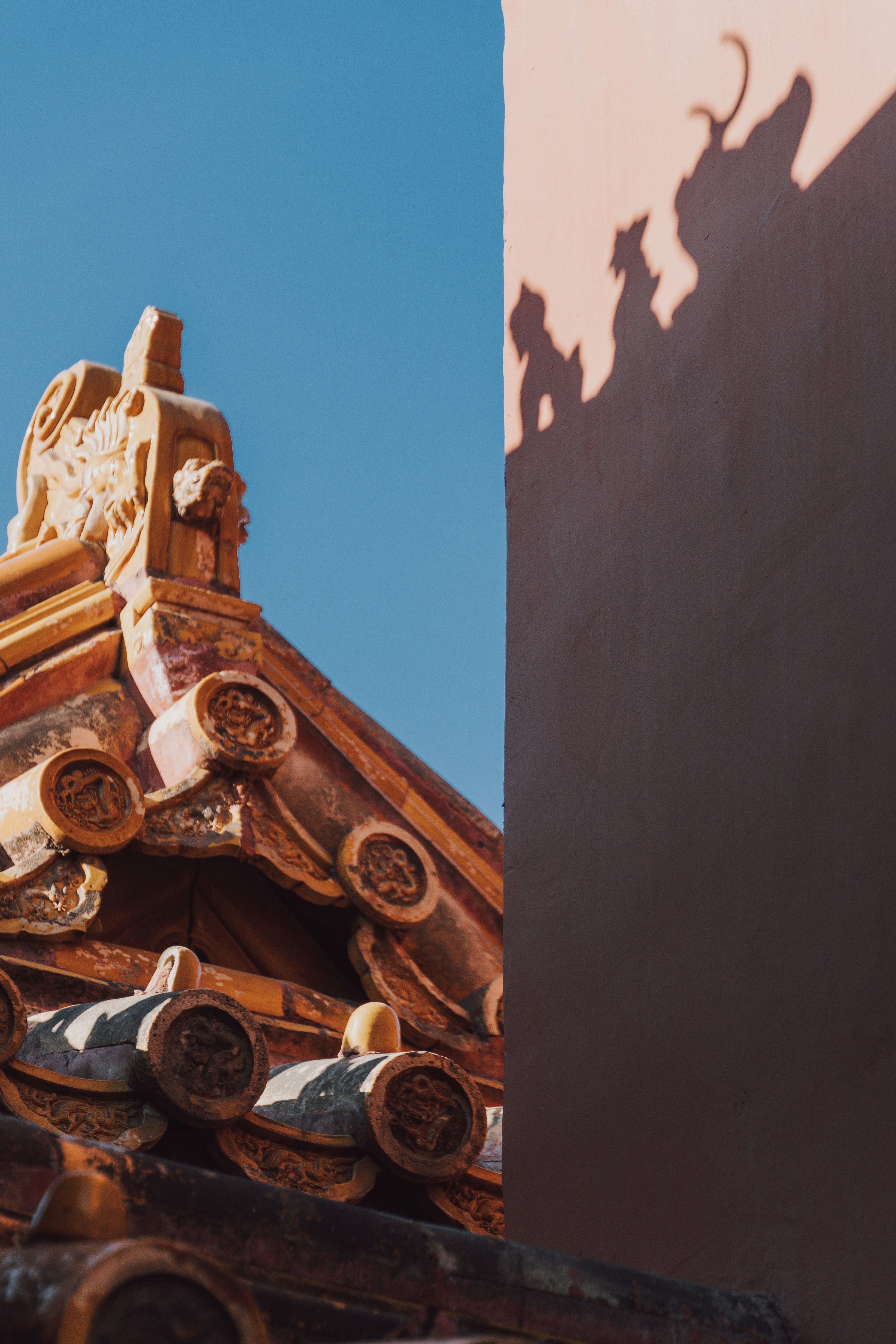 A close up of a roof with a building in the background photo – Free ...